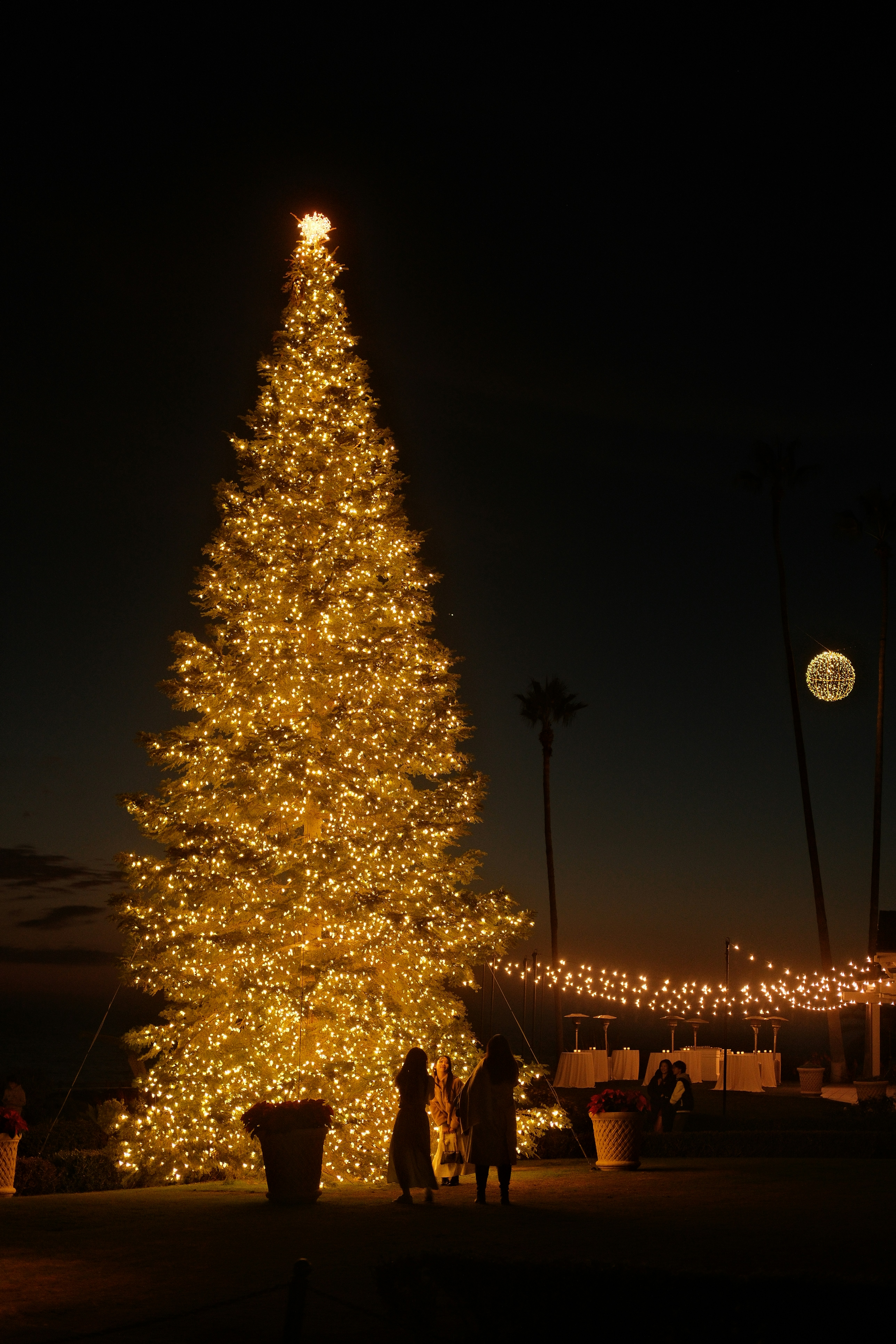 Cali Vibe | A lit christmas tree stands brightly at night.