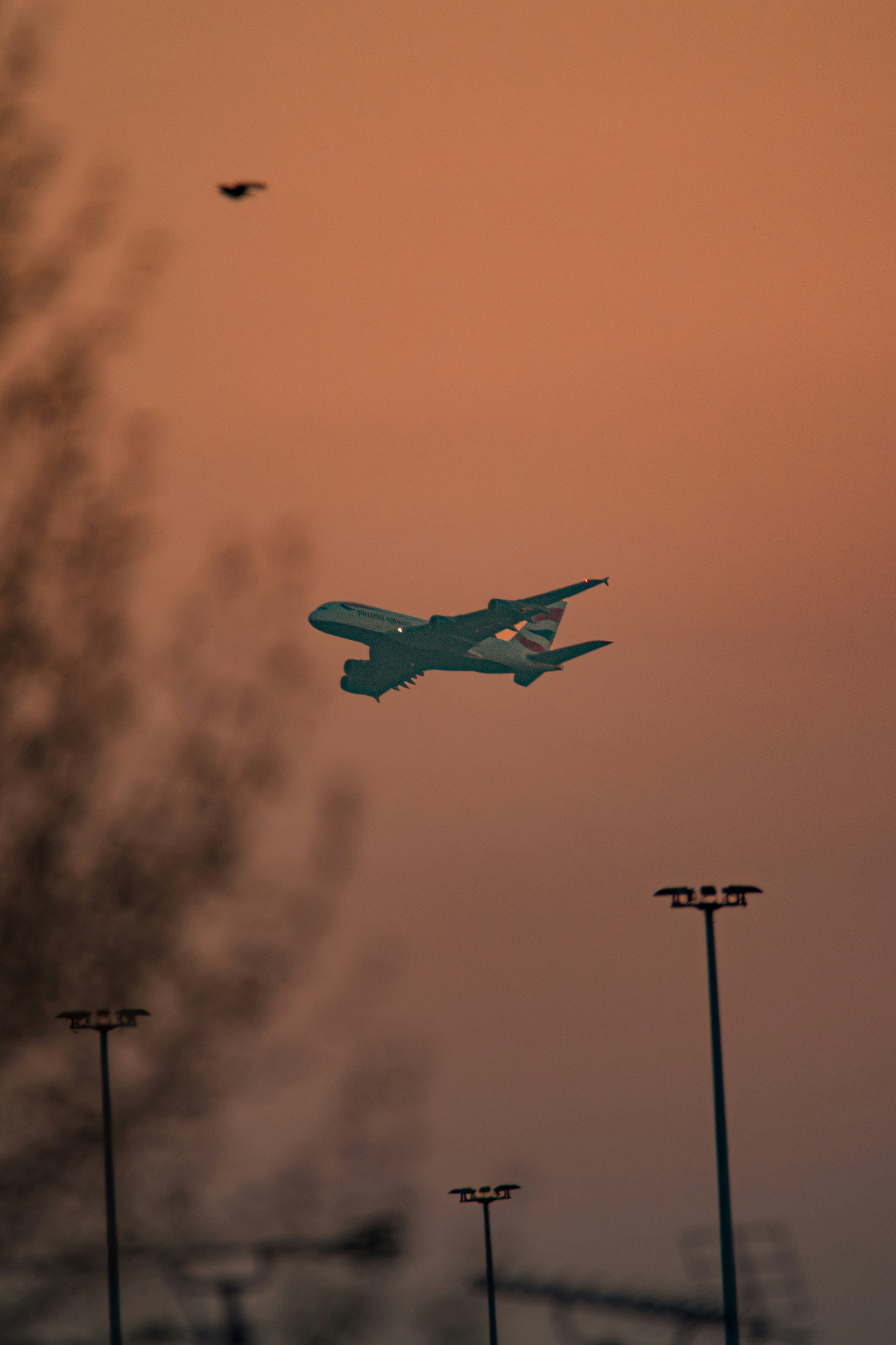 Dusk Lift-Off: A Jet Against the Orange Horizon