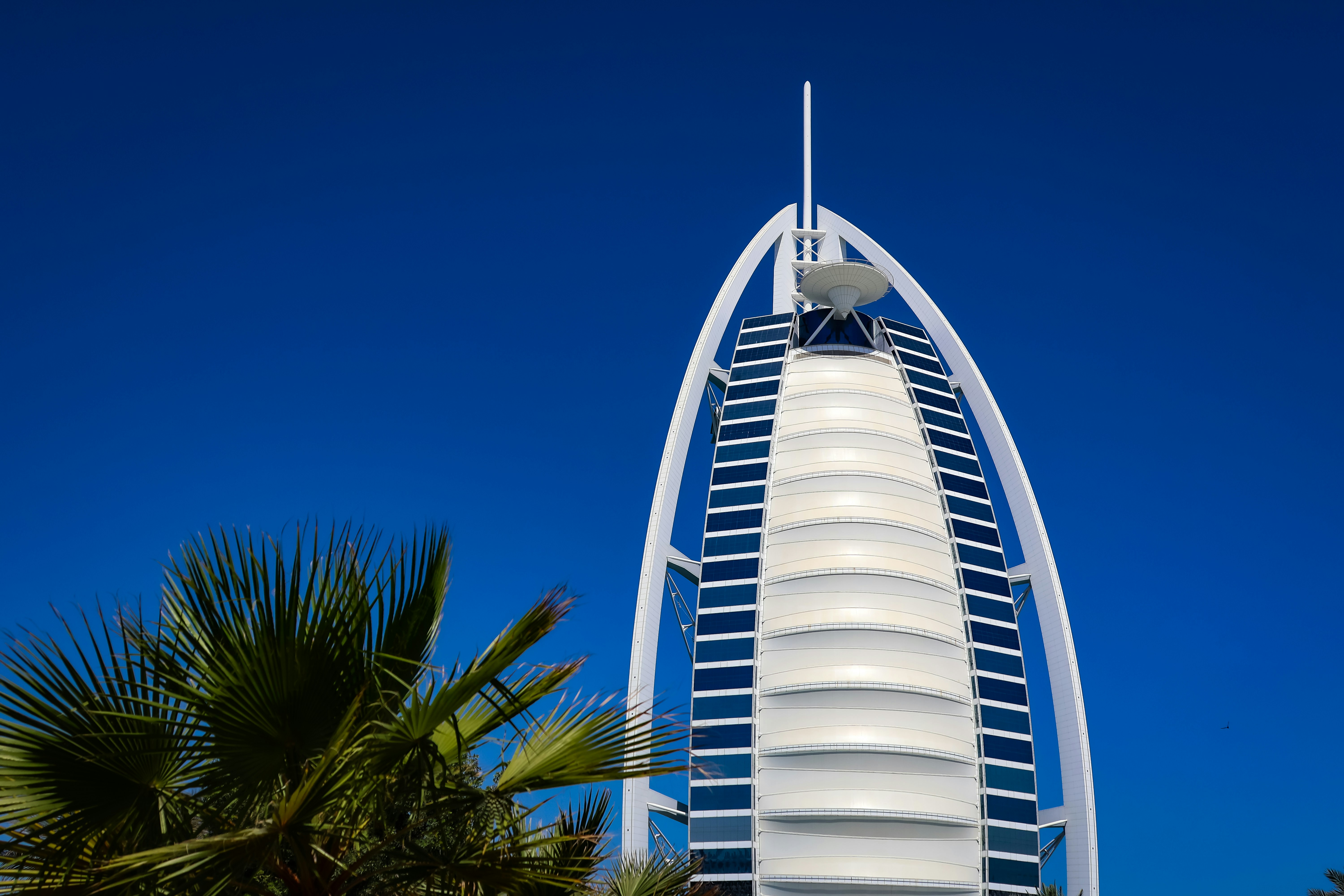 Modern sail-shaped building with gleaming white facade set against a deep blue sky and palm leaves in the foreground.