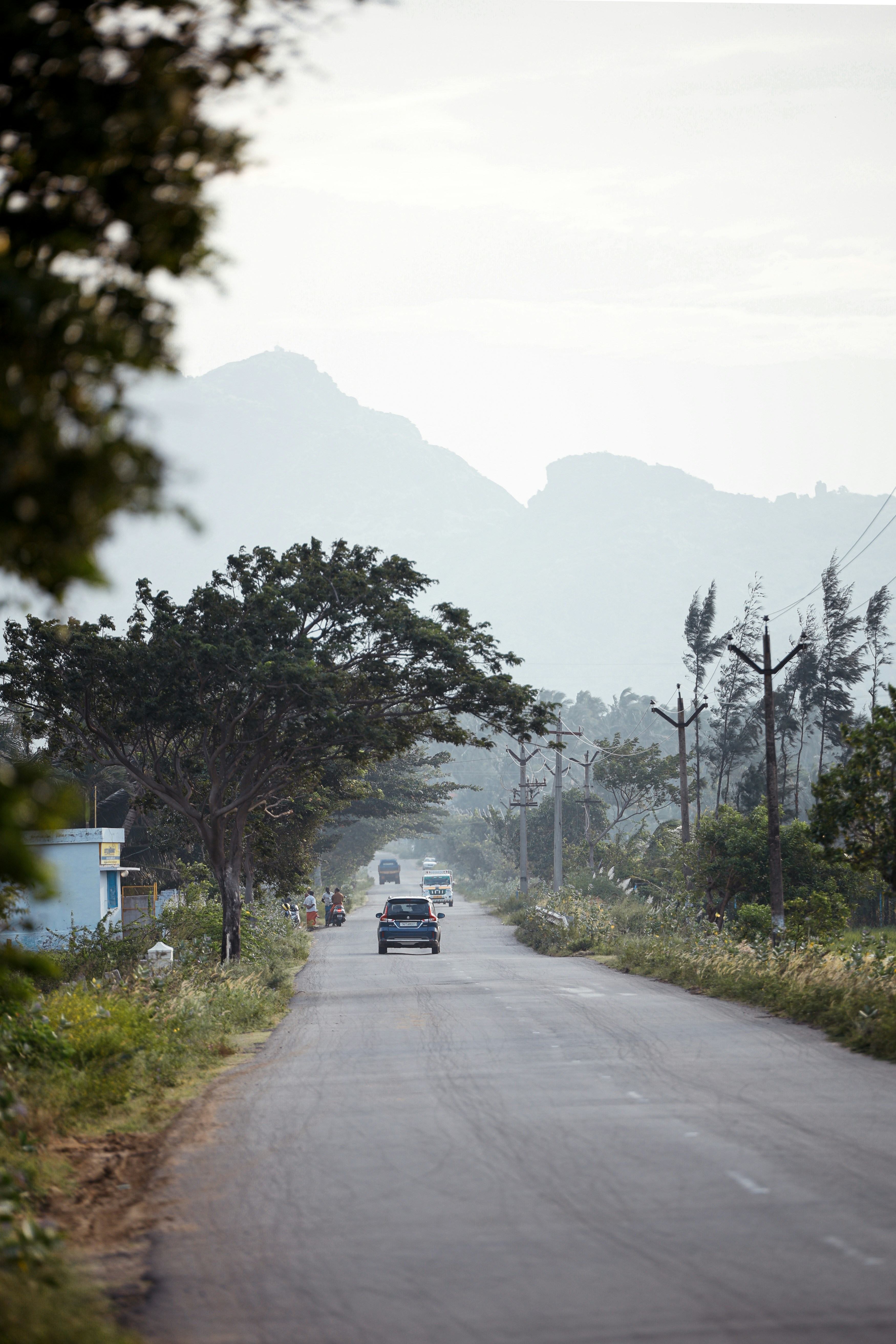 Road leading into distant mist-shrouded hills with trees lining the path.