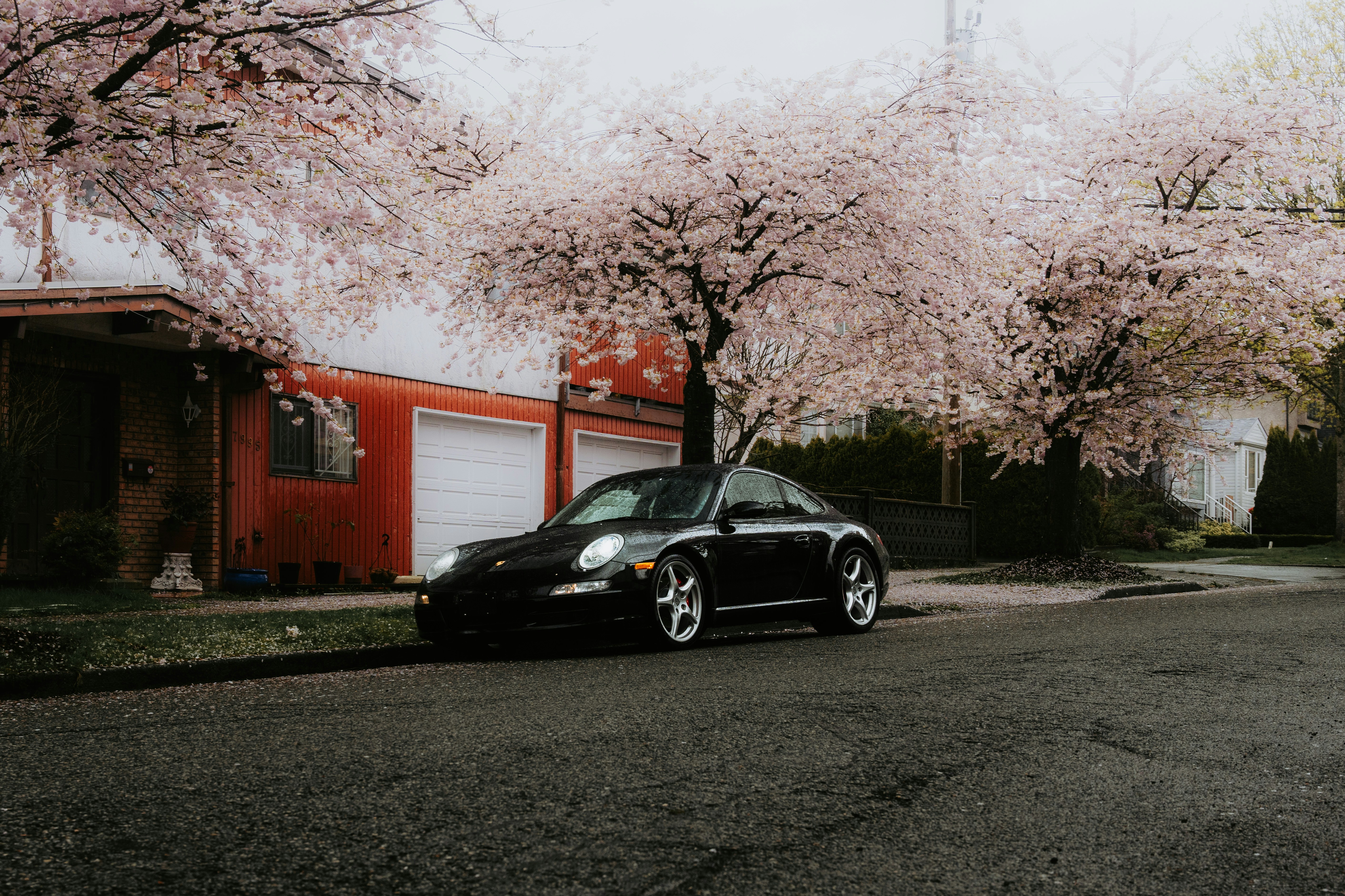 Photo by Luke Miller with Sony Alpha 7 IV