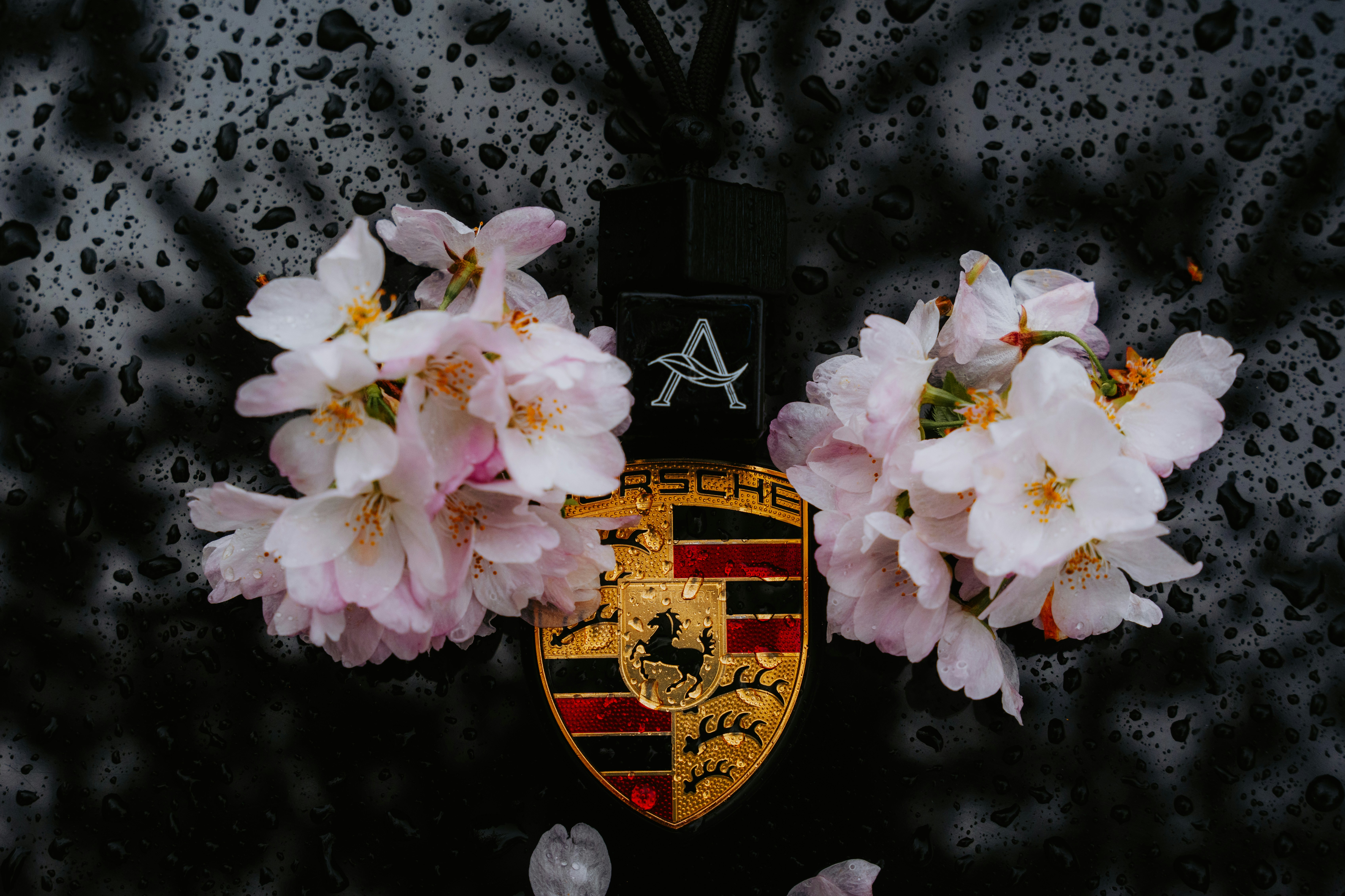 Bloomed Crest: Petals Rest on a Rain-Speckled Porsche Emblem