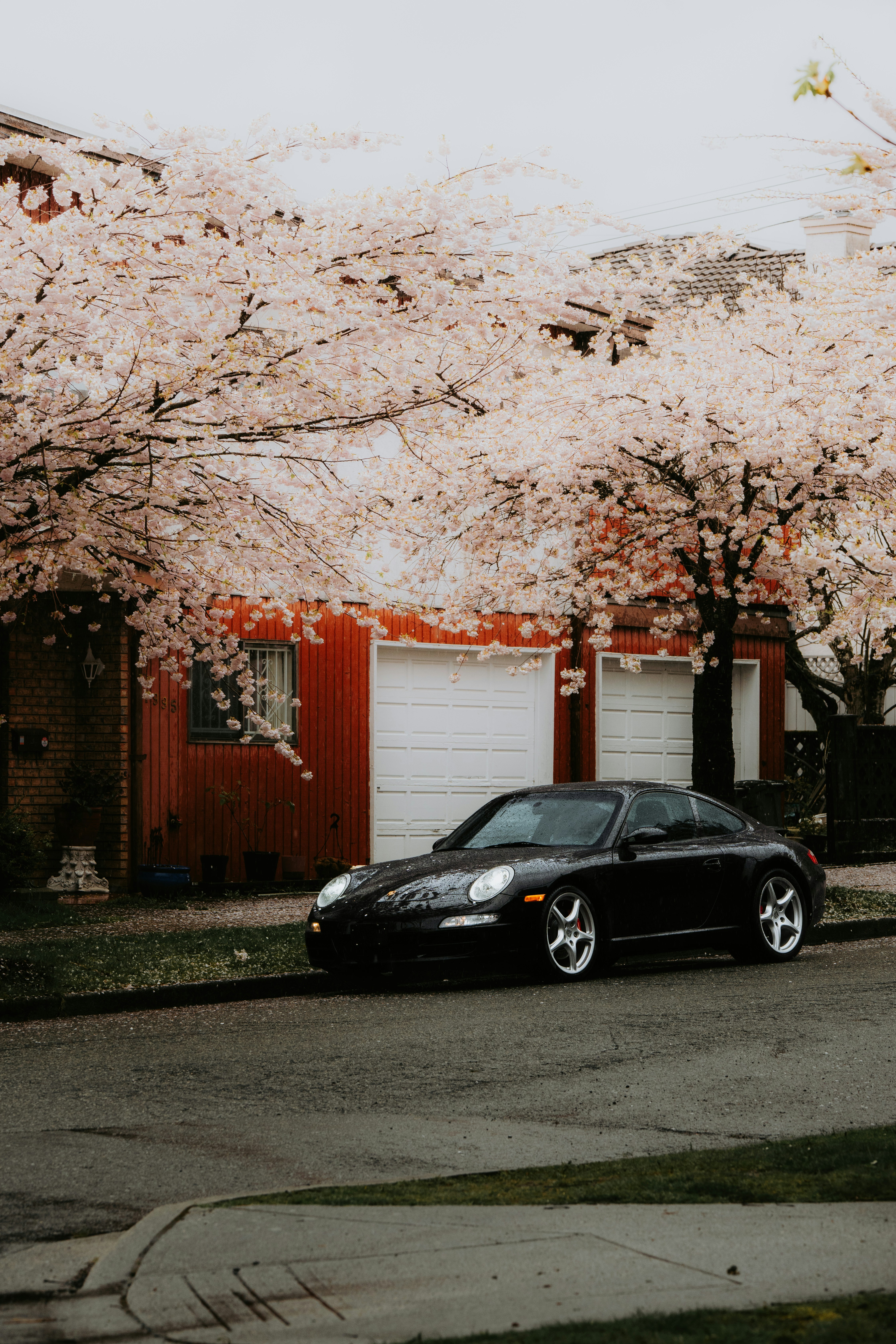 Photo by Luke Miller with Sony Alpha 7 IV