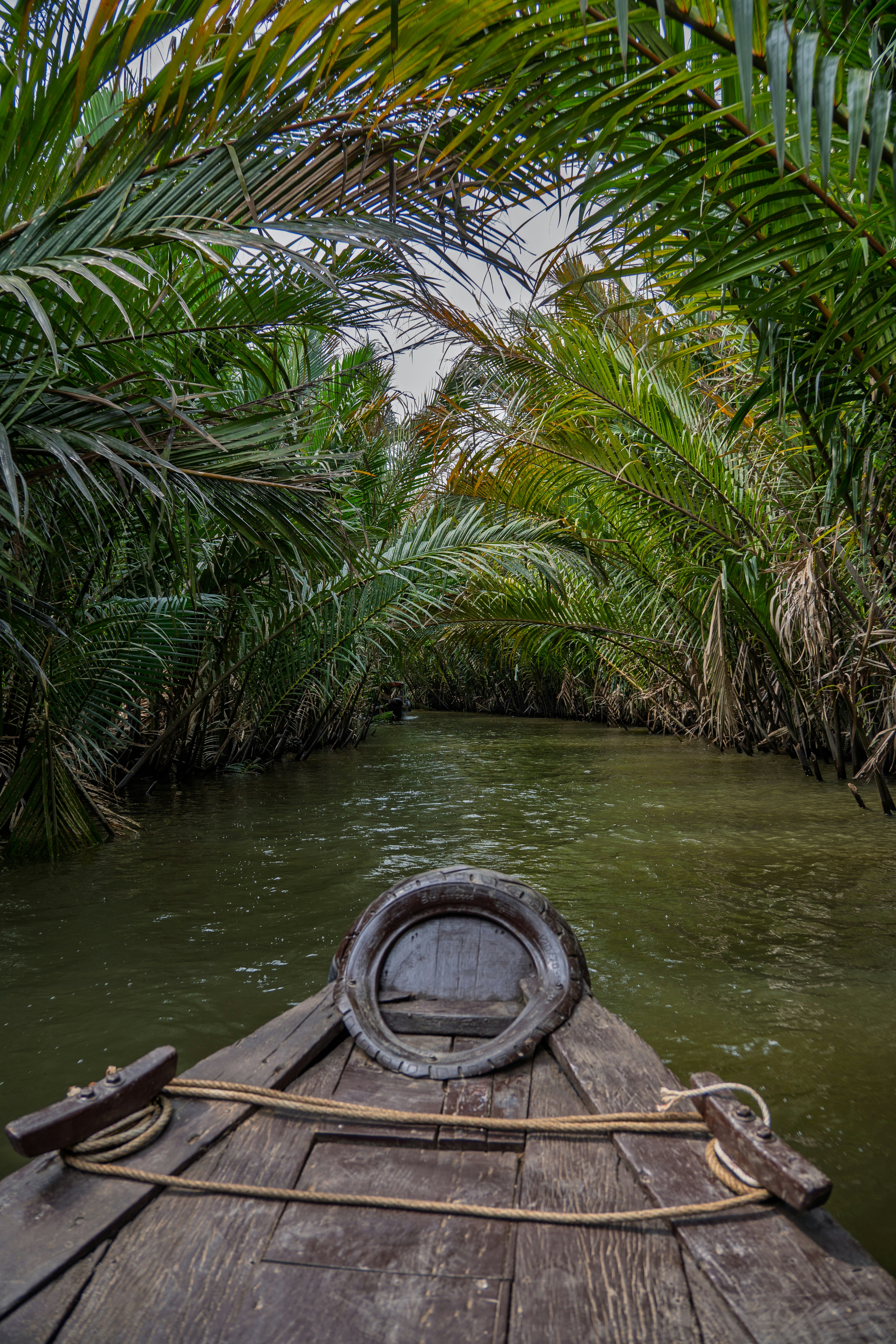 A boat cruises through lush, tropical waters.