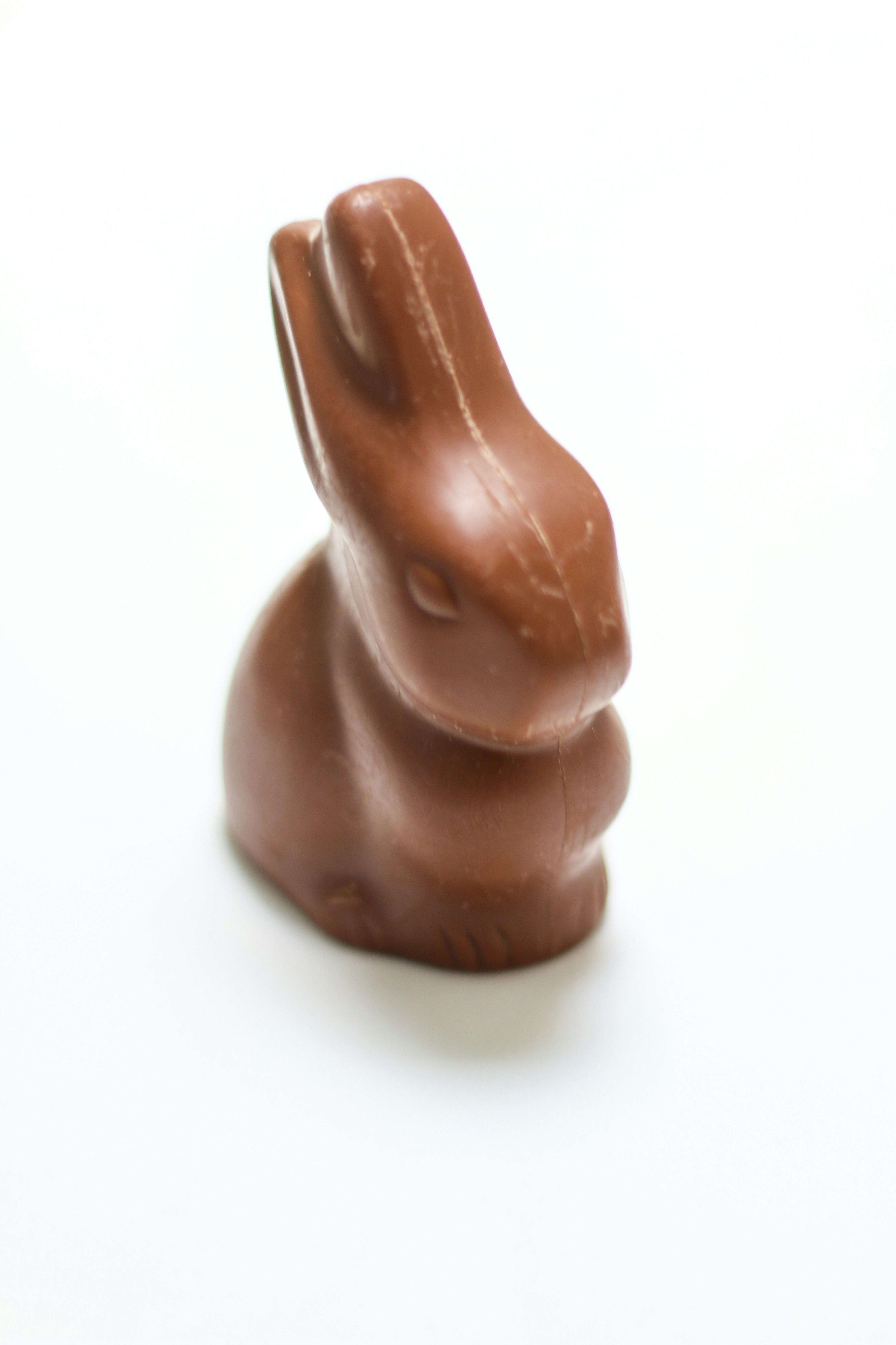 Macro portrait of a milk chocolate bunny against a pristine white backdrop
