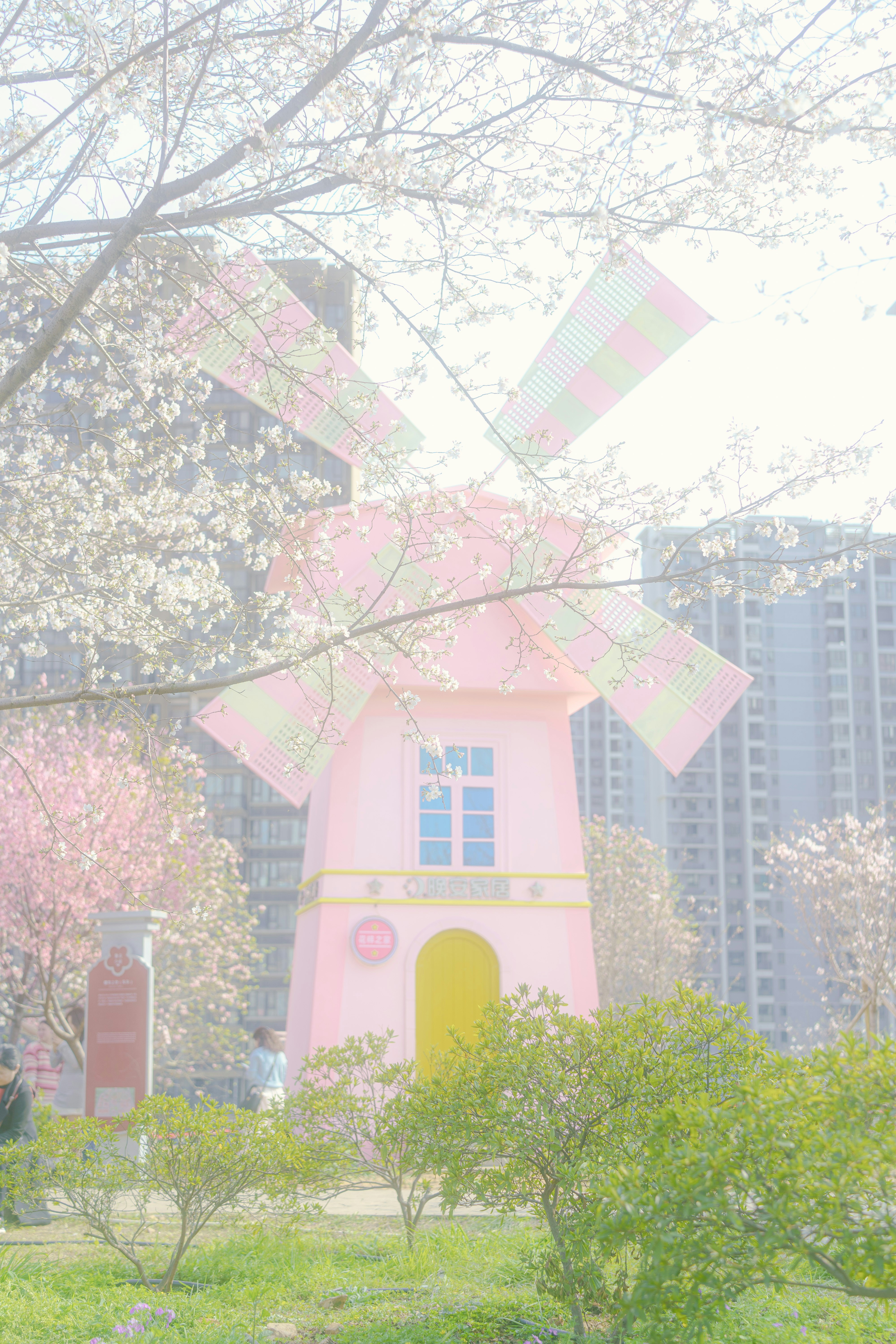 A pink windmill stands amidst blooming cherry blossoms. photo – Free ...