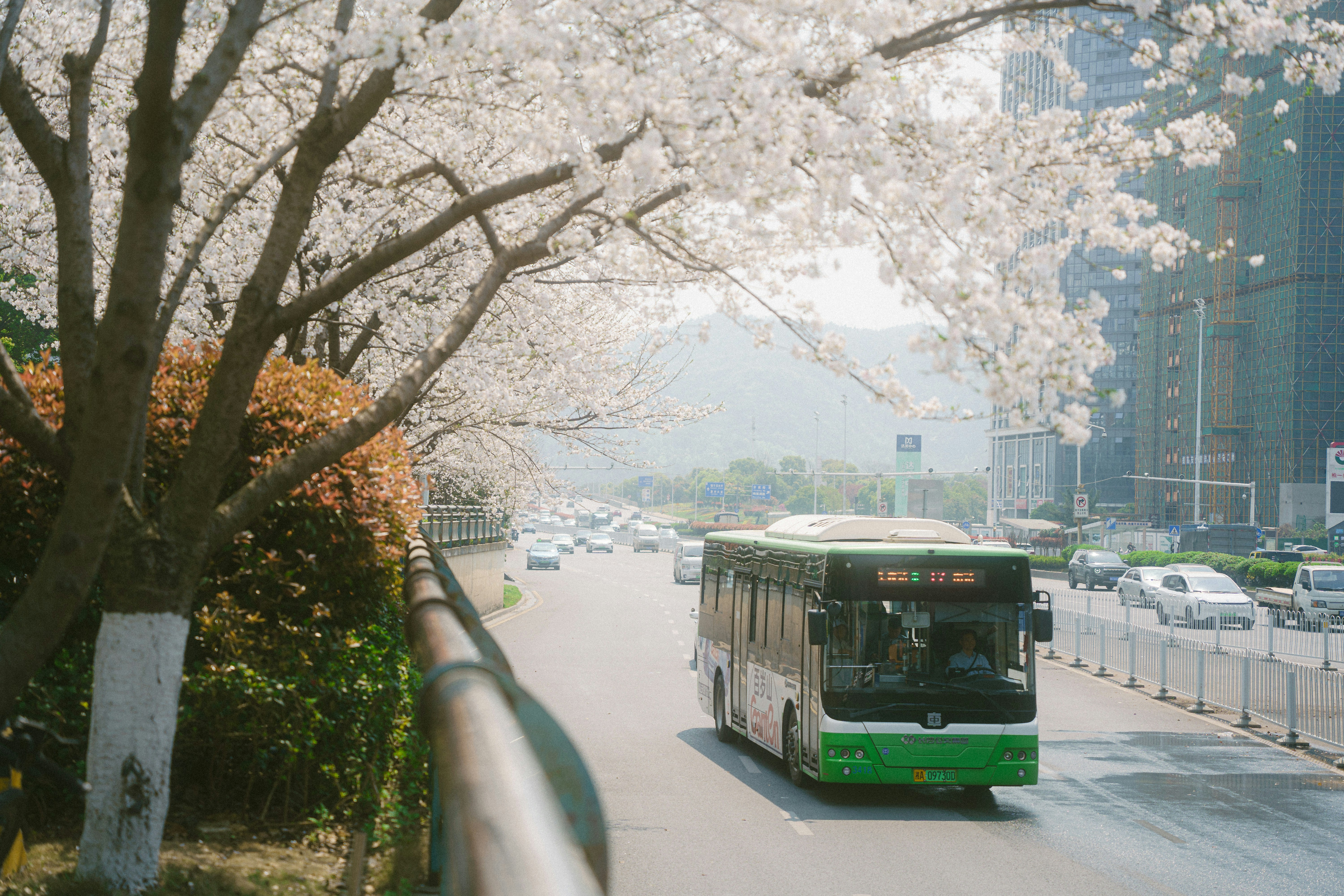 Photo by Patrick Shaun with Sony Alpha 7C