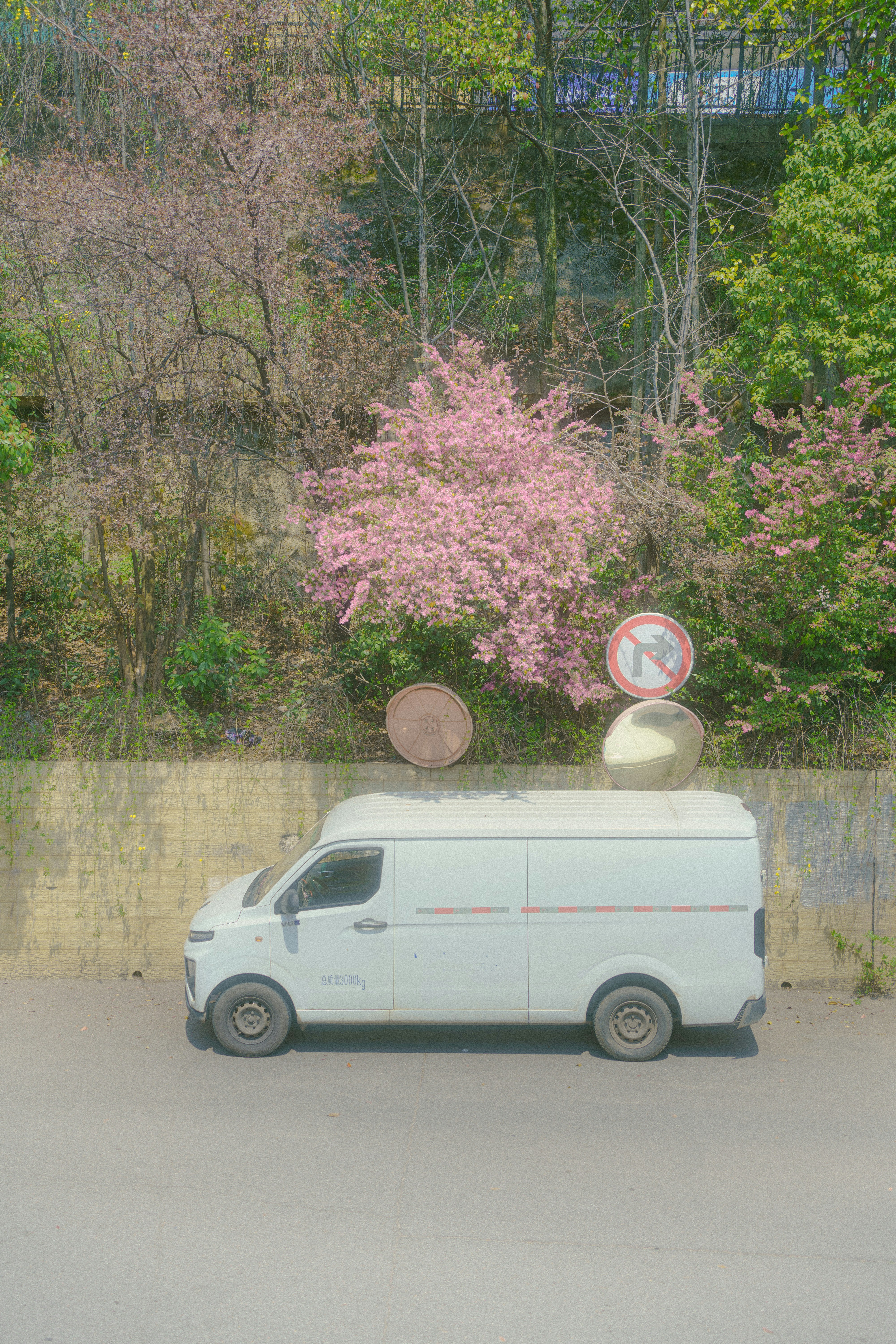 Pastel Blossoms Framing a Quiet Van