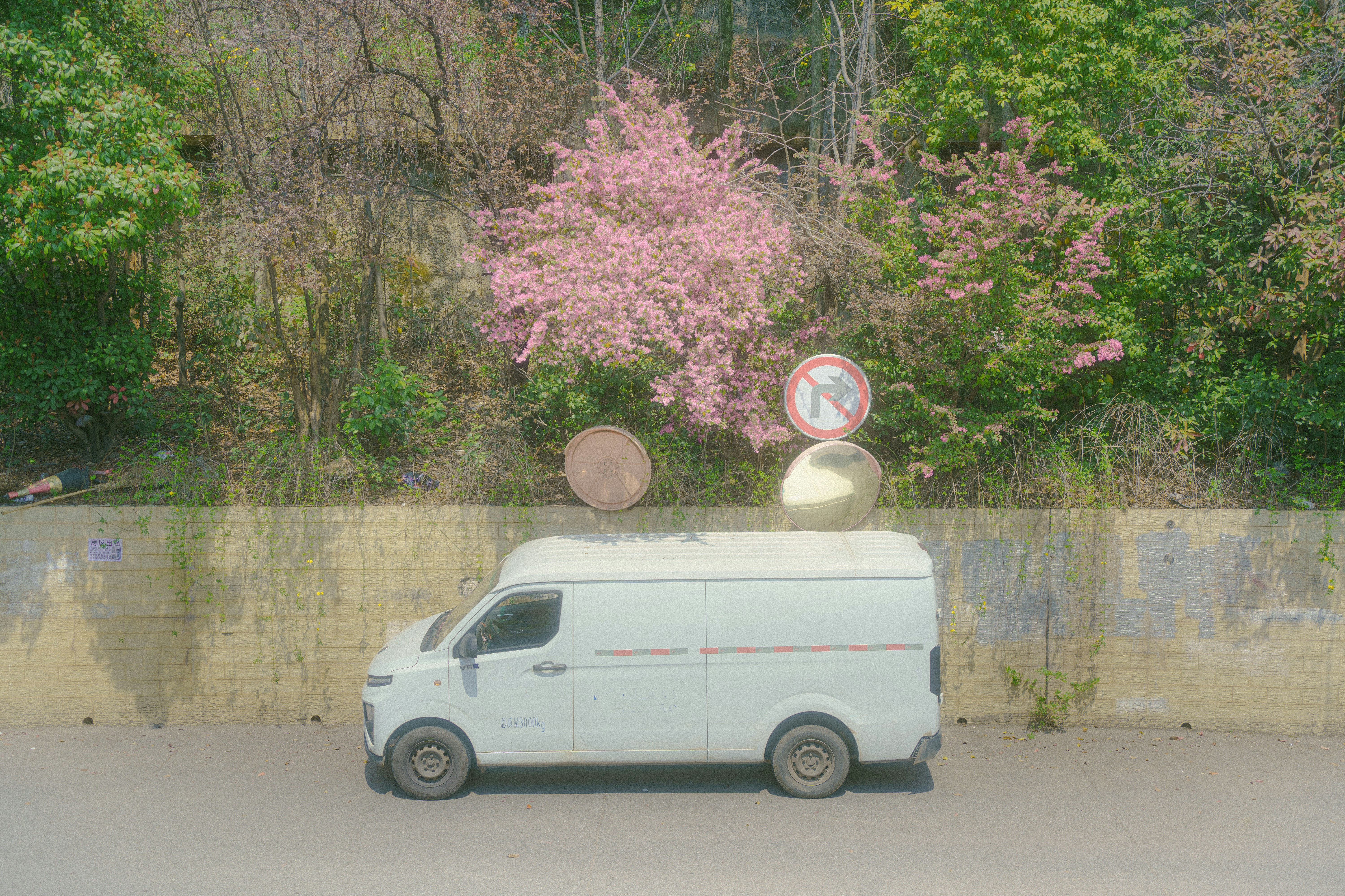 White Van Framed by Spring Blossom Along a Quiet Embankment