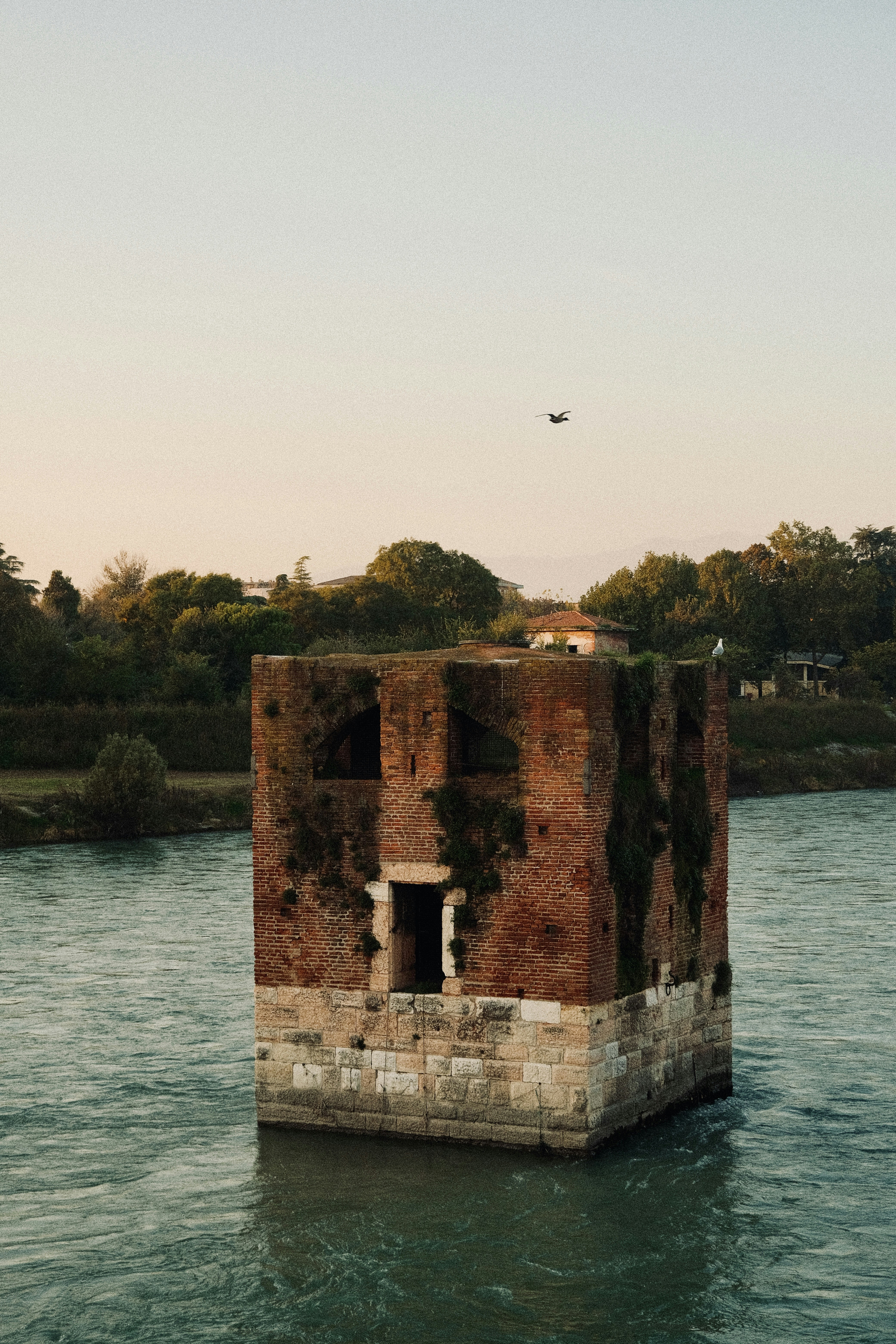 The River's Quiet Sentinel: A Brick Tower Wreathed in Ivy at Golden Hour