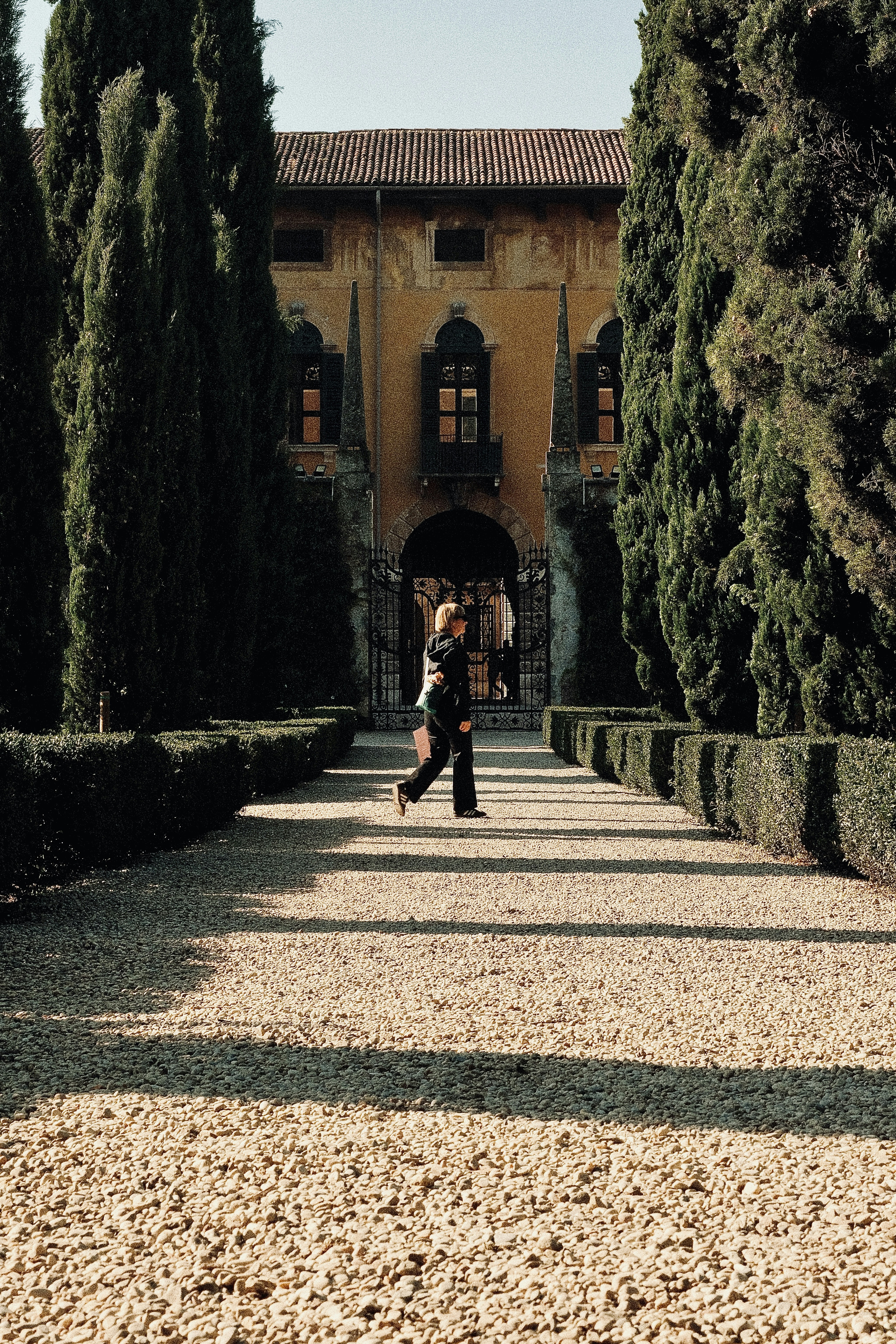 Person walking along a gravel path flanked by tall cypress trees leading to a historic building.