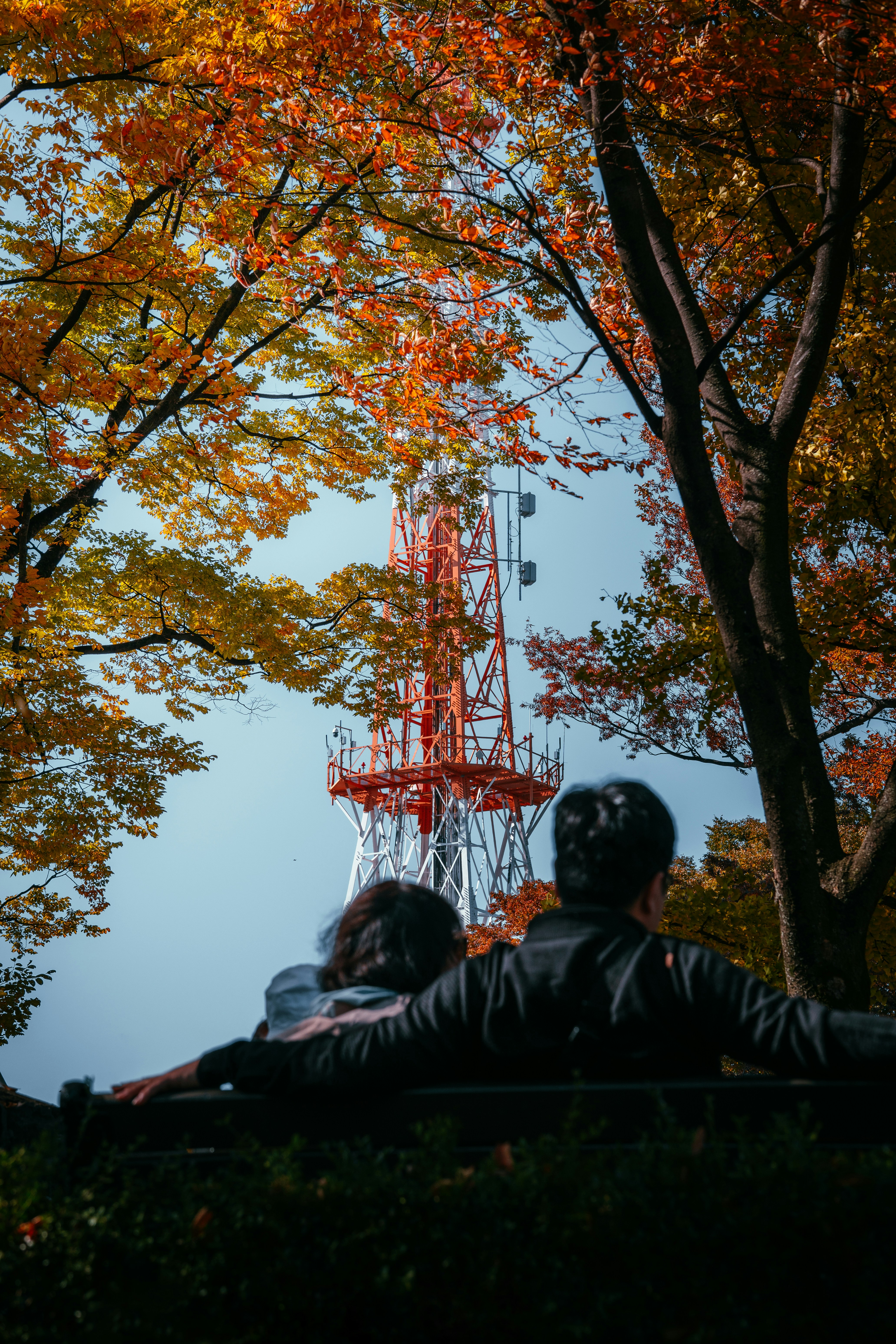 Autumn Connection Under the Tower