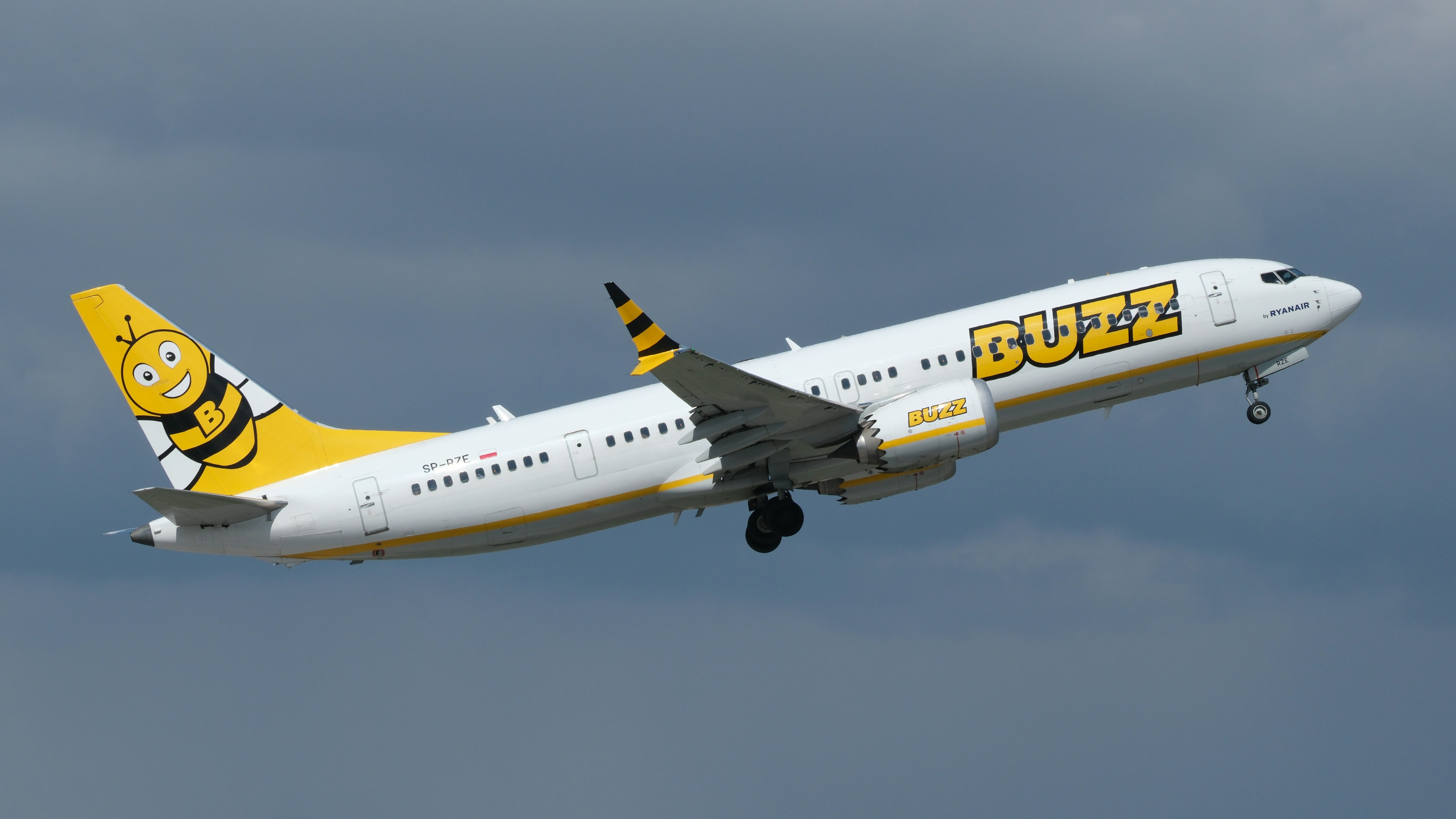 A buzz airplane taking off into the sky. photo – Free Airplane Image on ...