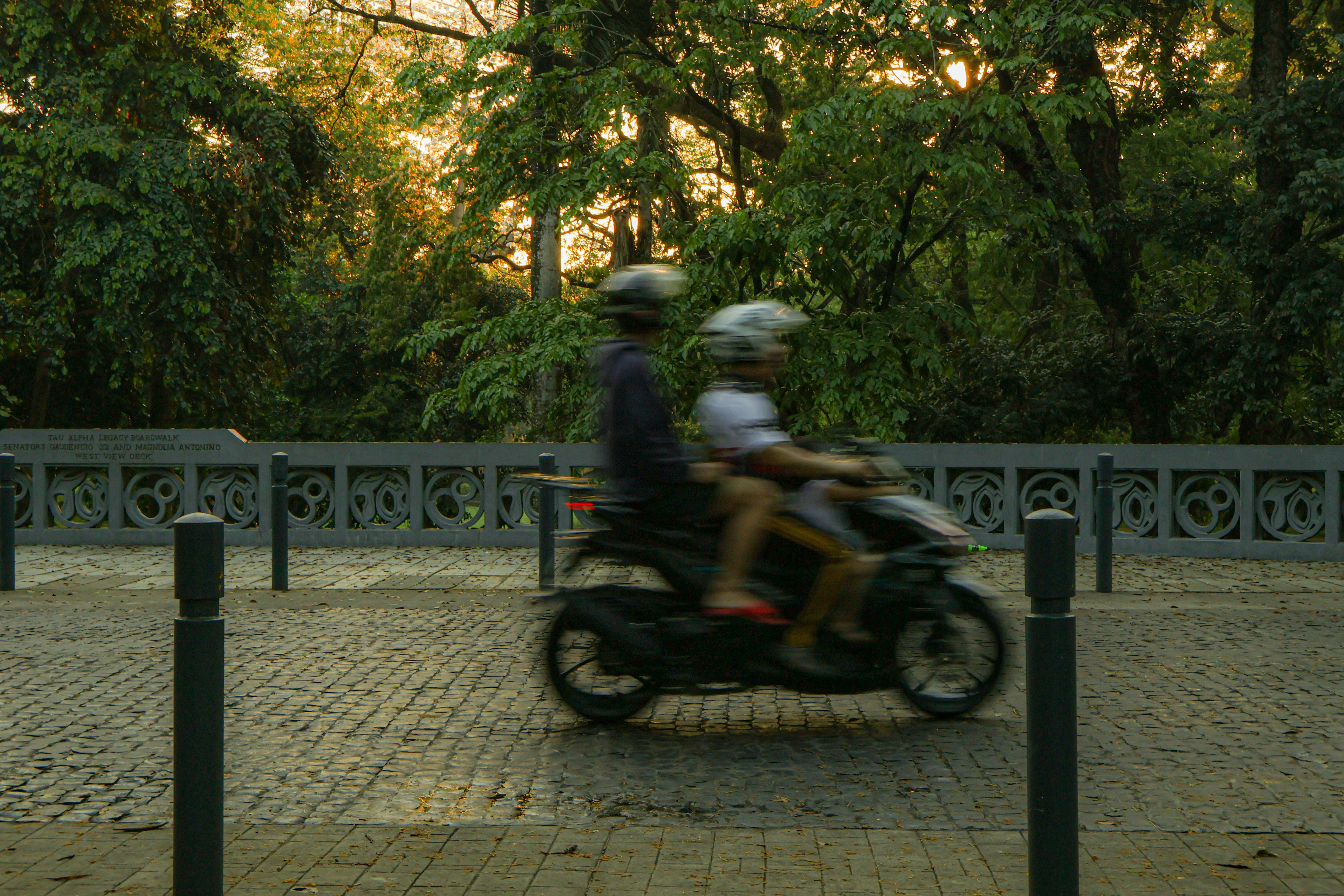 People ride a scooter on a tree-lined street.