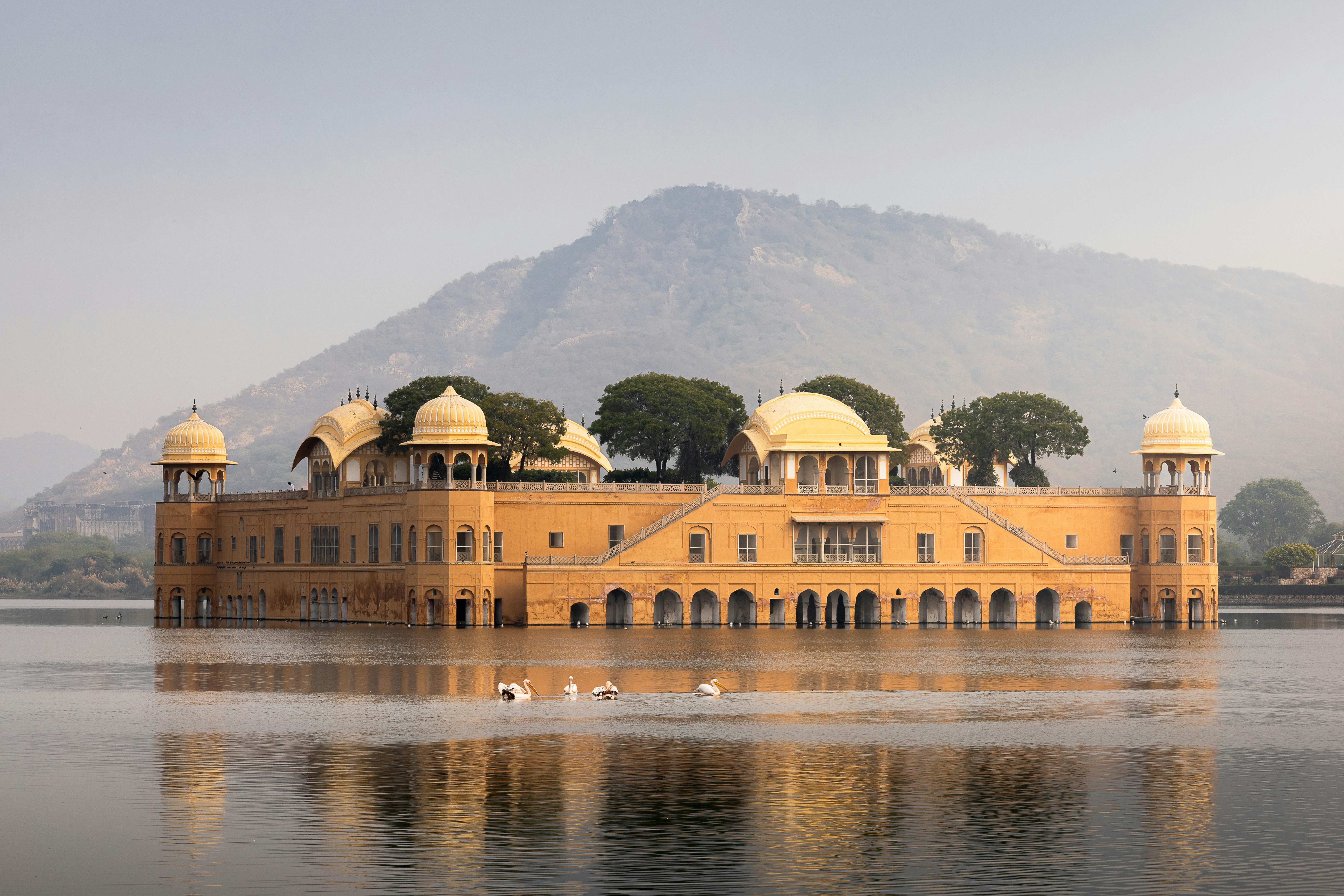 Photo by Laura Lezman with Canon EOS RP