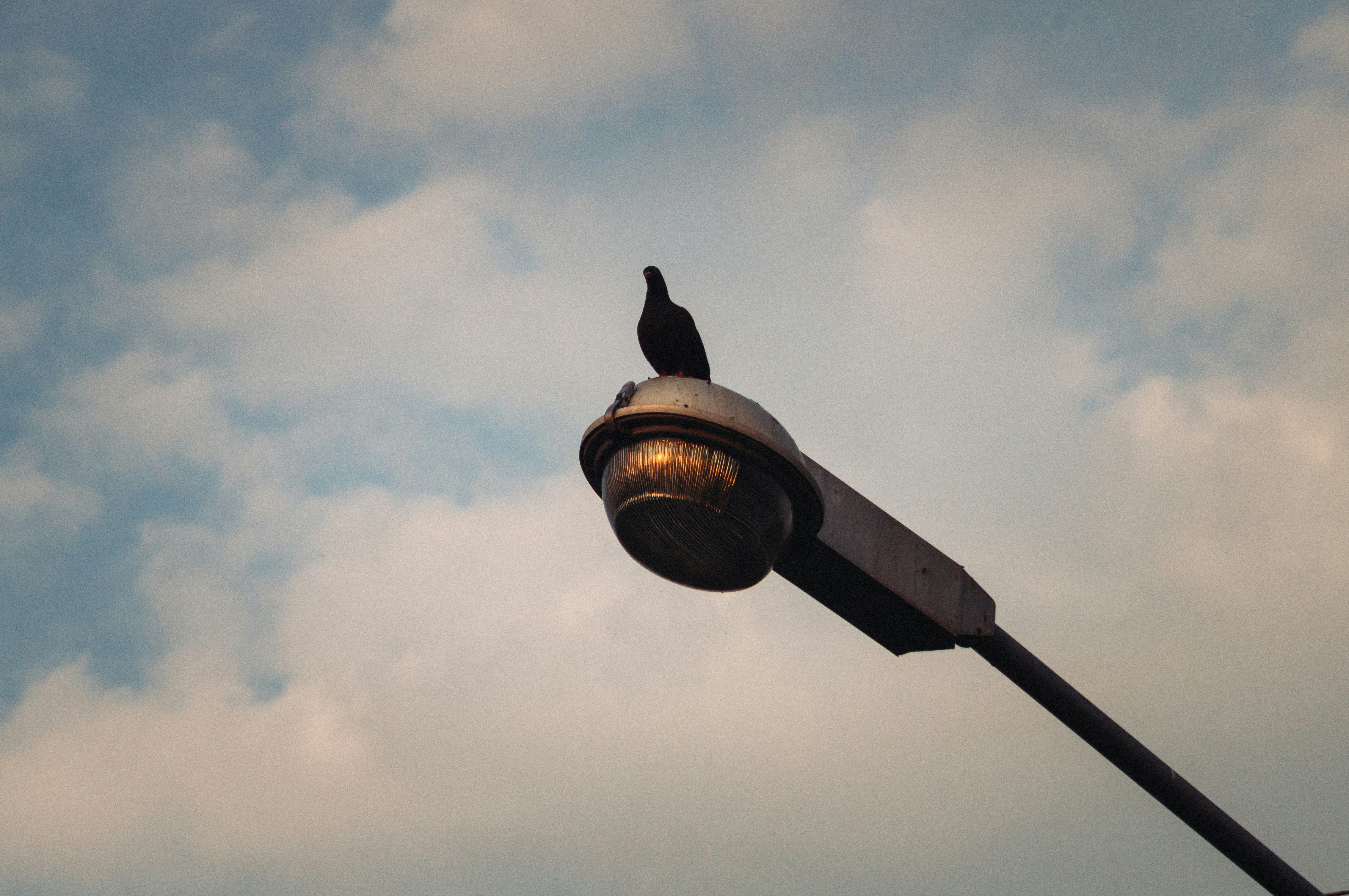 Photo by Honney Artkongharn with Sony Alpha F3