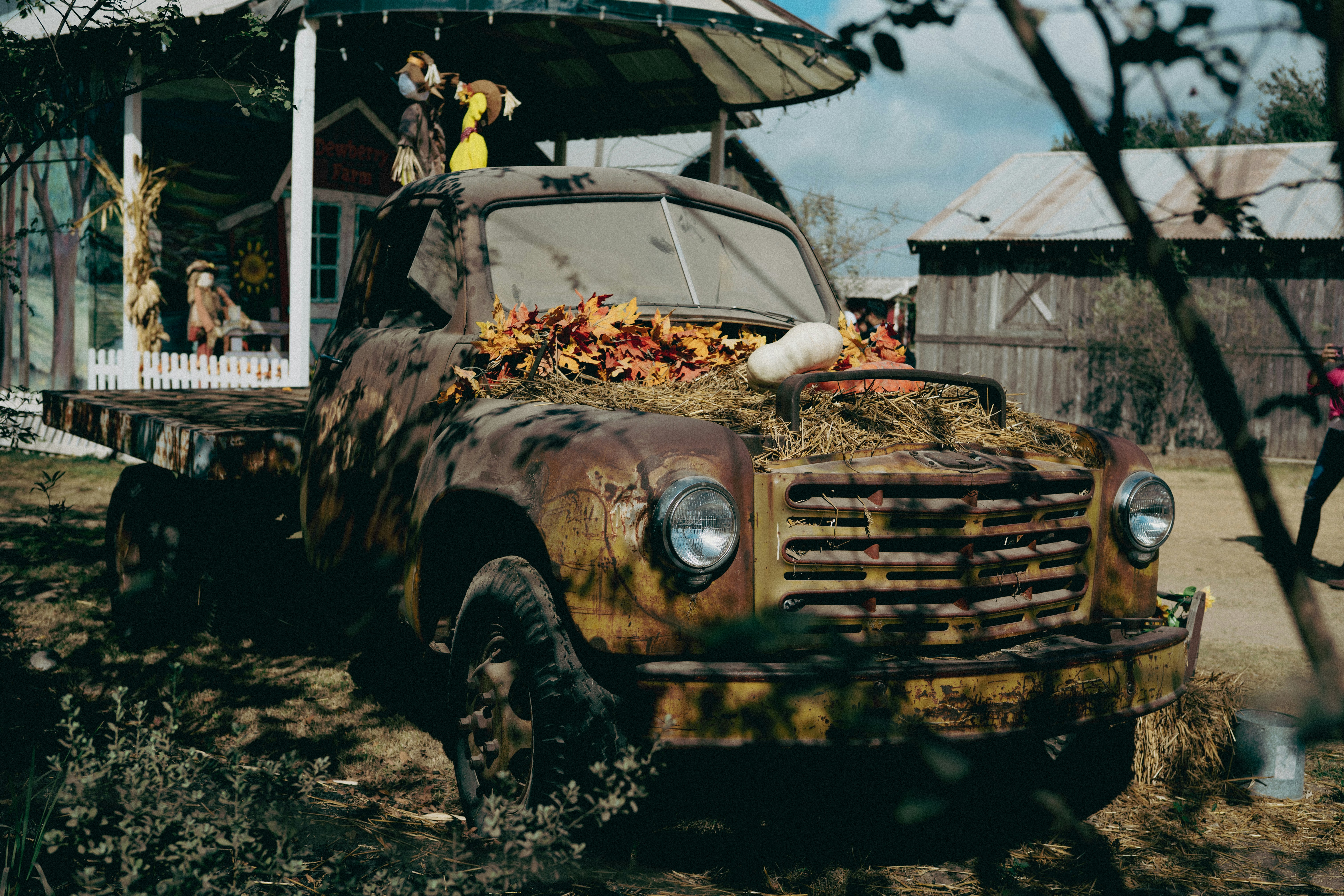 An old rusty truck decorated for autumn.