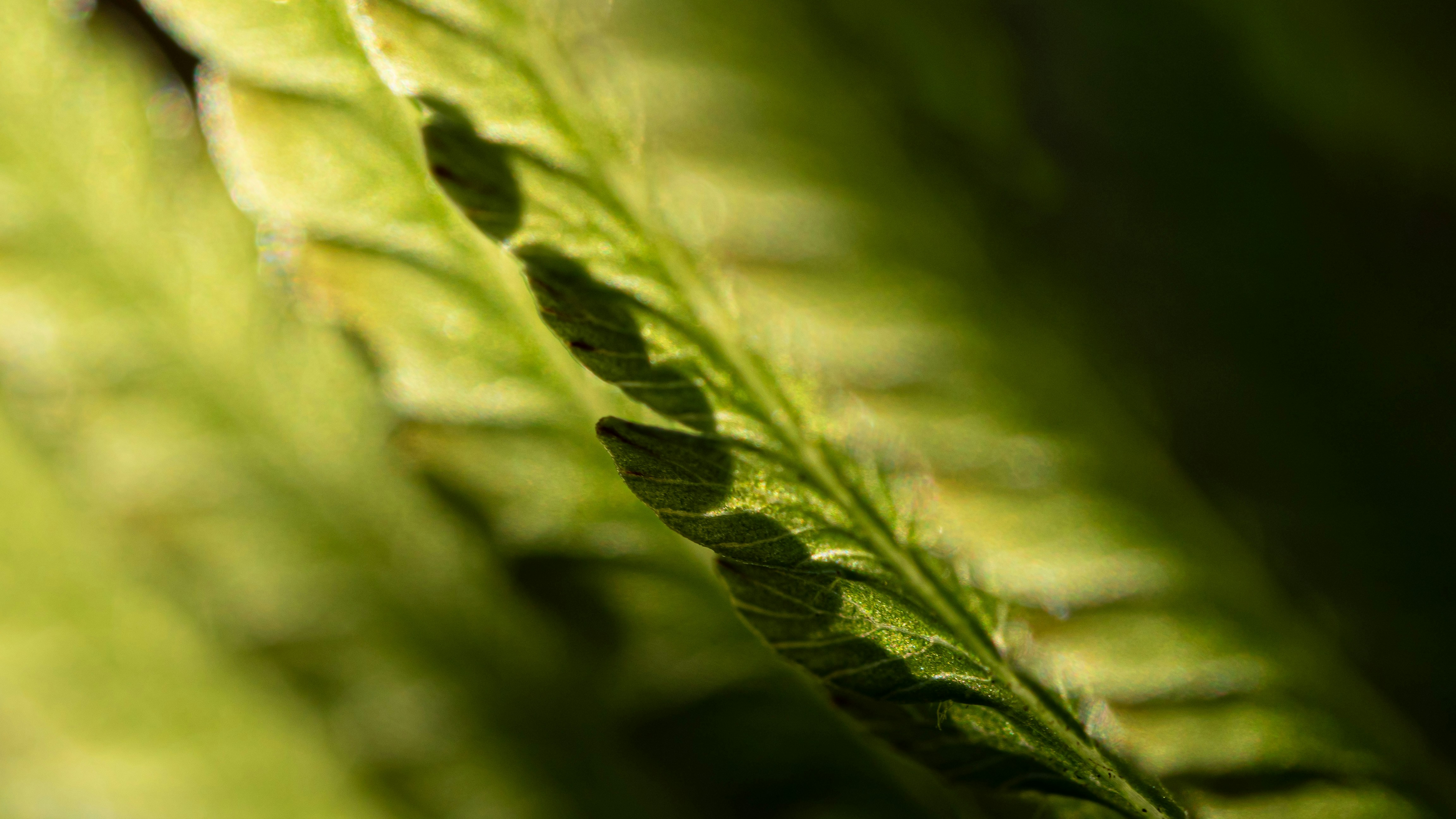 Photo by Flora Orosz with Olympus E-PL8