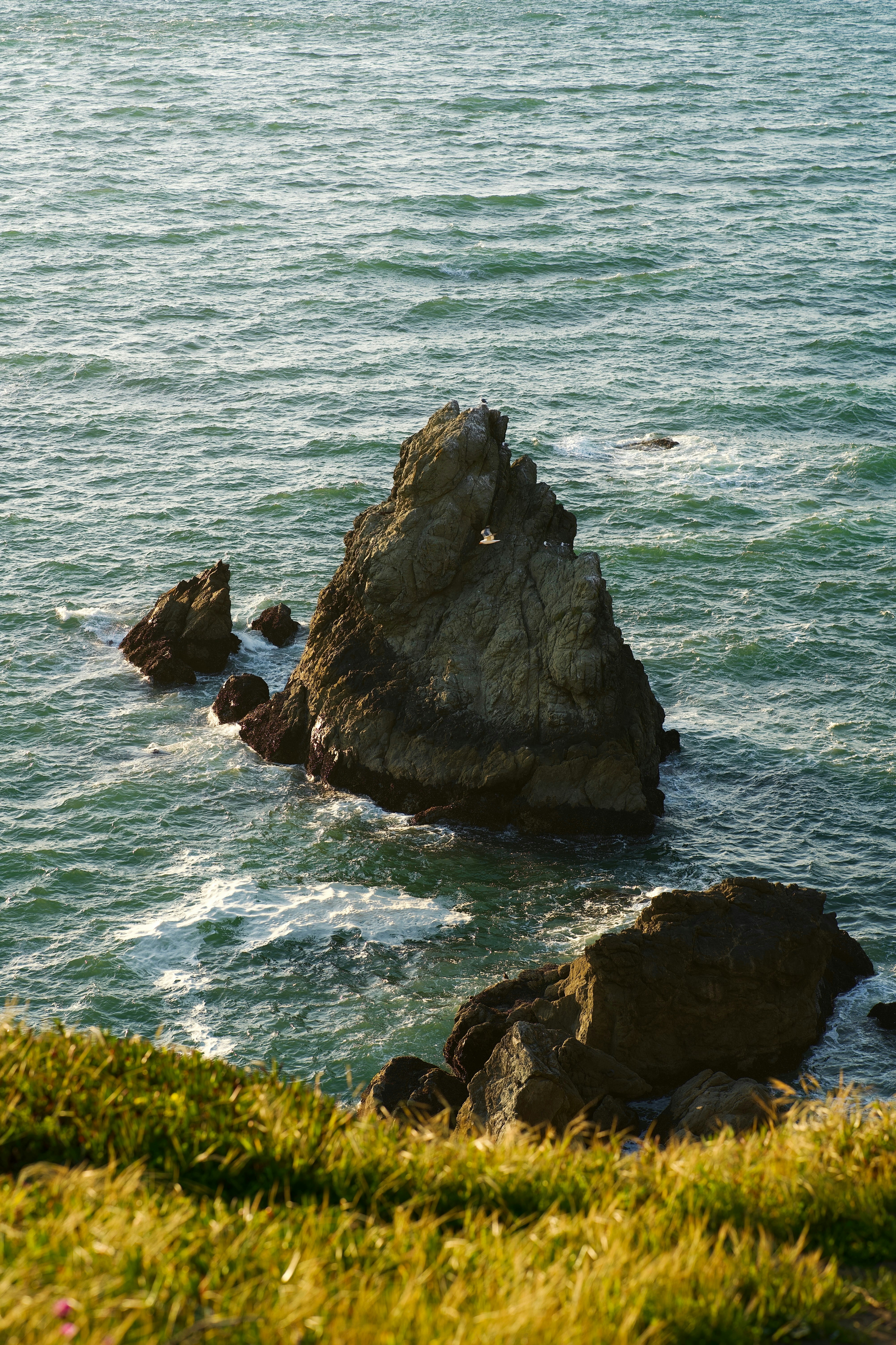 Photo by Vishal Devidas with Sony Alpha 7C