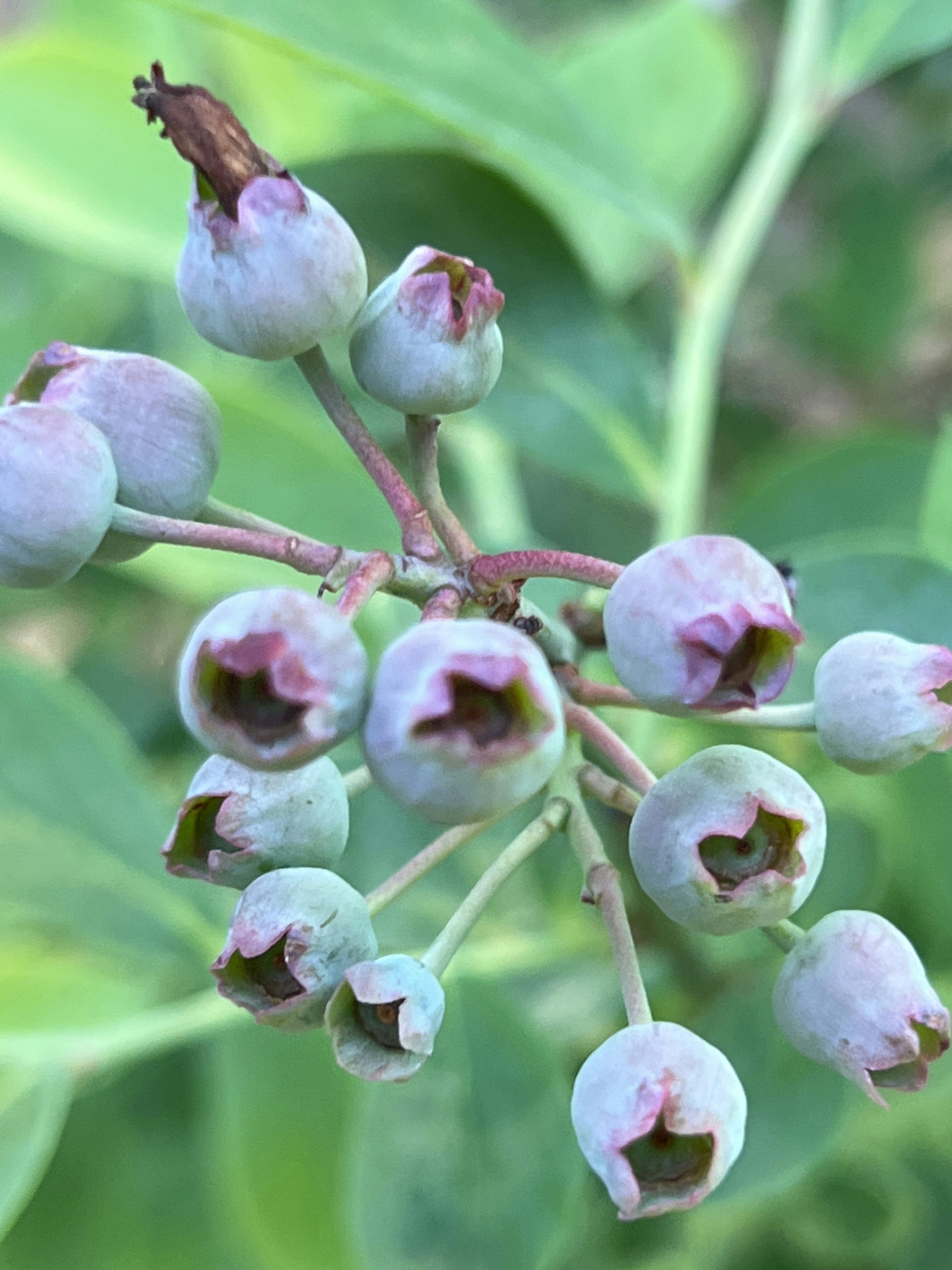 Stephanie Loomis (@stephanieloomis) | Unsplash Photo Community