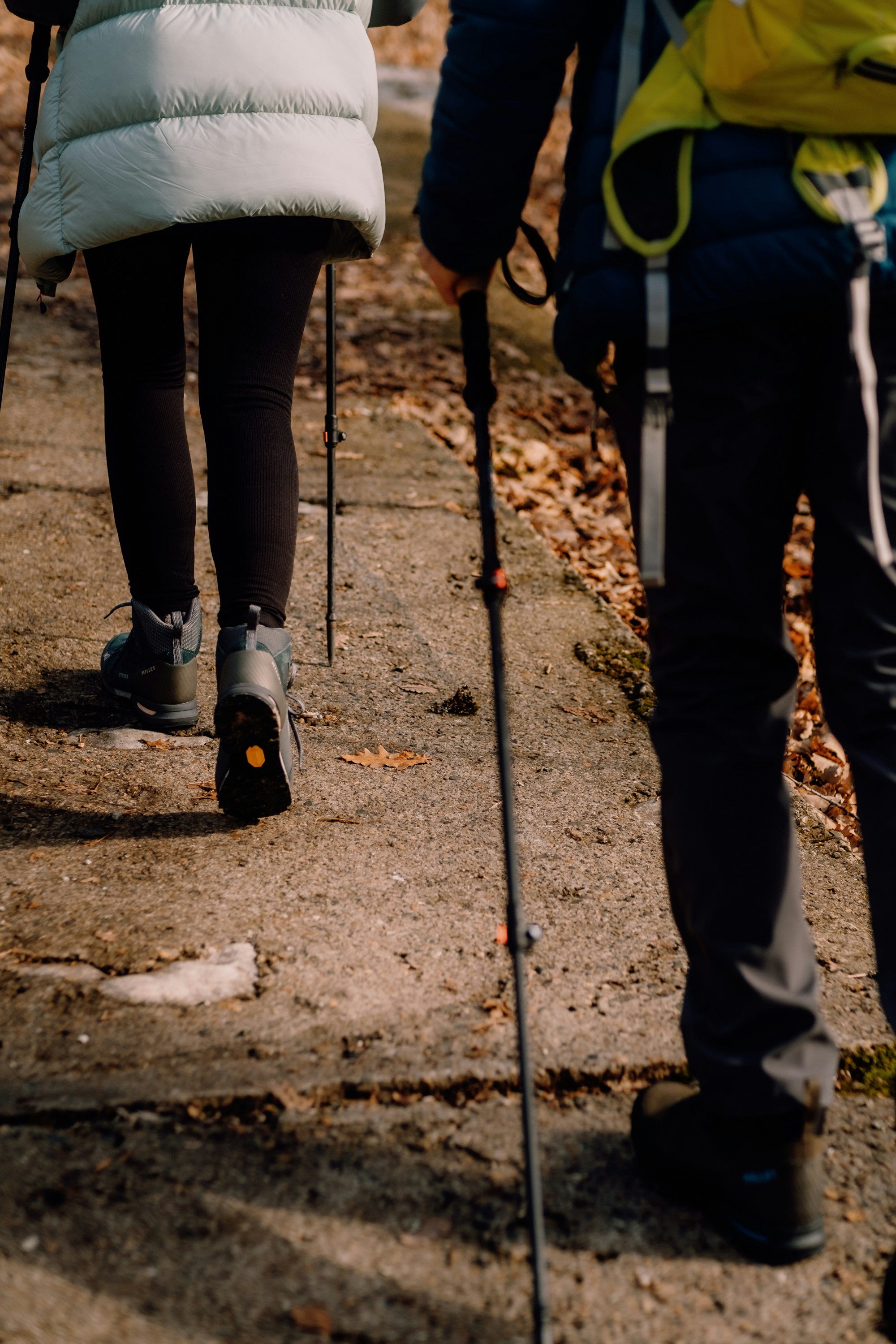 Autumn Ascent: Two hikers shown from behind on a leaf-strewn trail