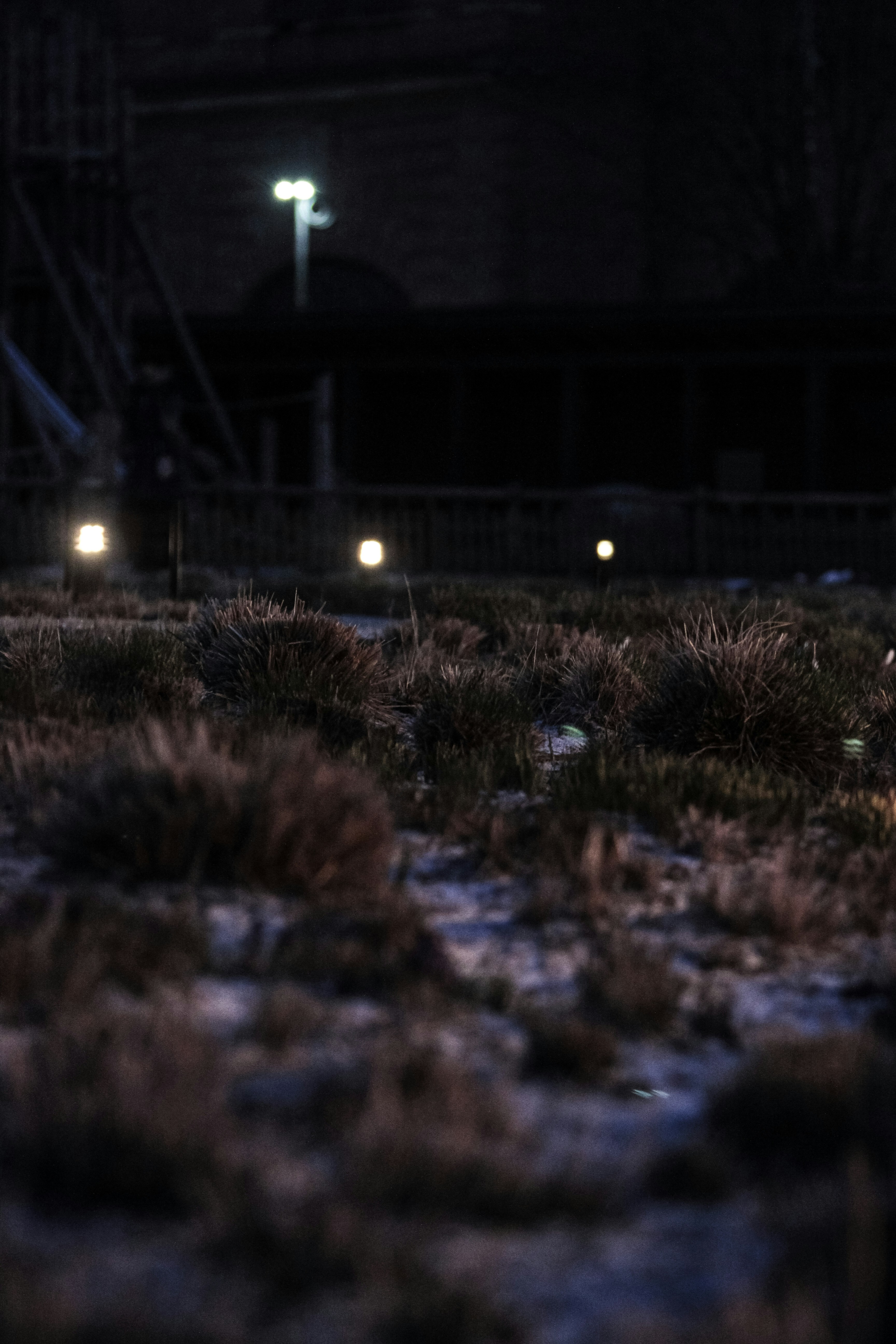Night Field Edge: Frosty Tufts Meet Distant Factory Lights