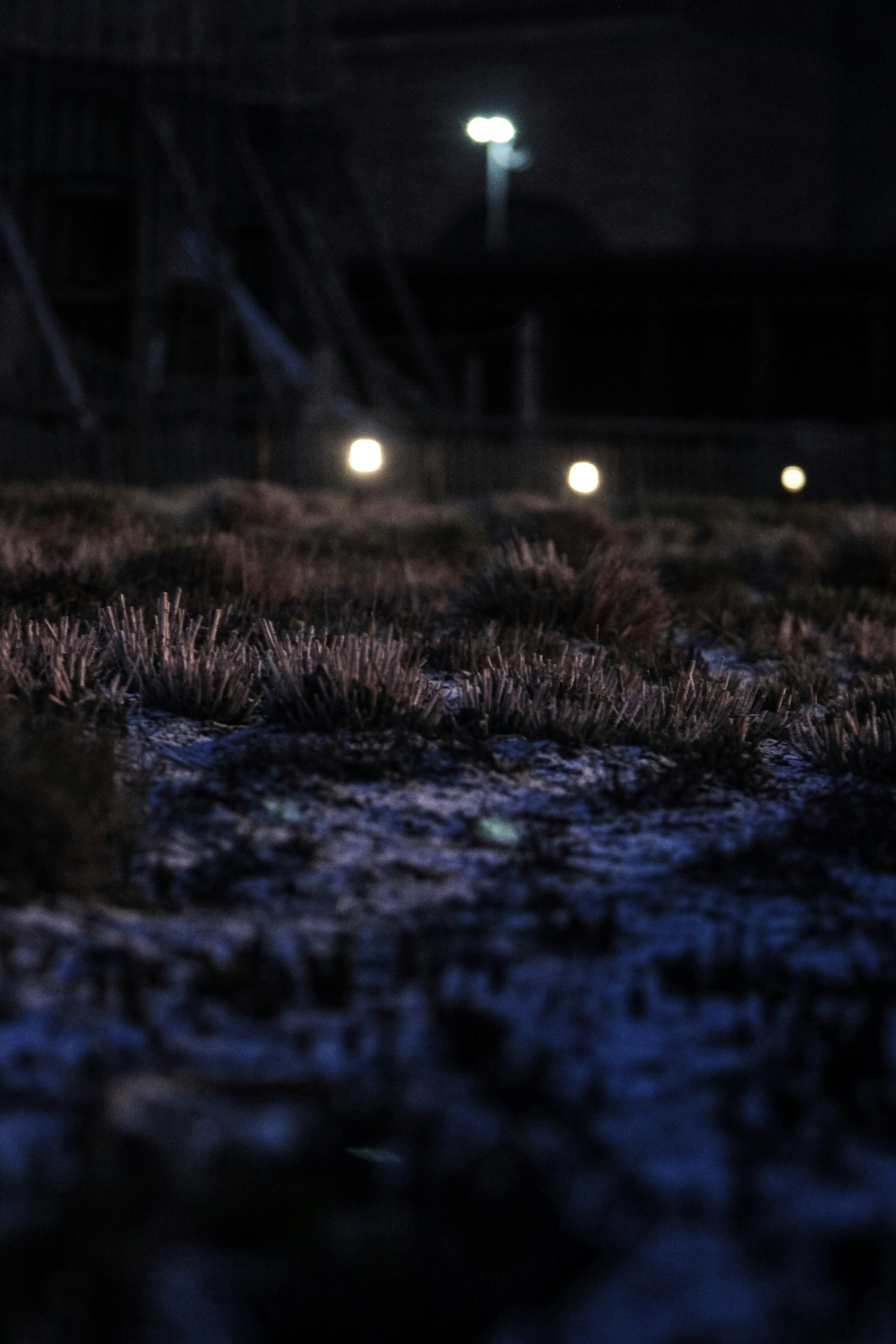 Blue Hour Field under Industrial Glow