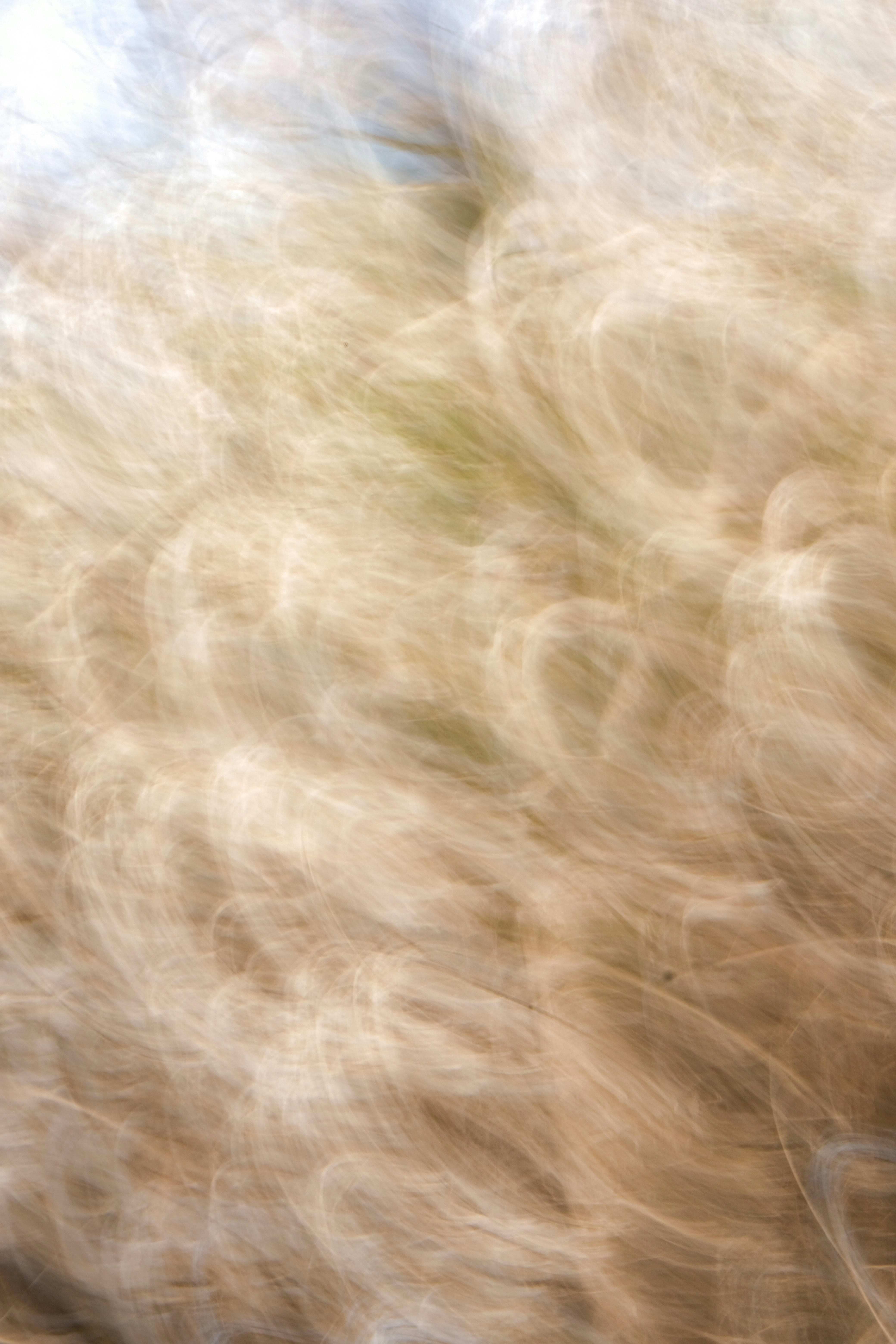 Abstract streaks of light and color create movement. photo – Free ...