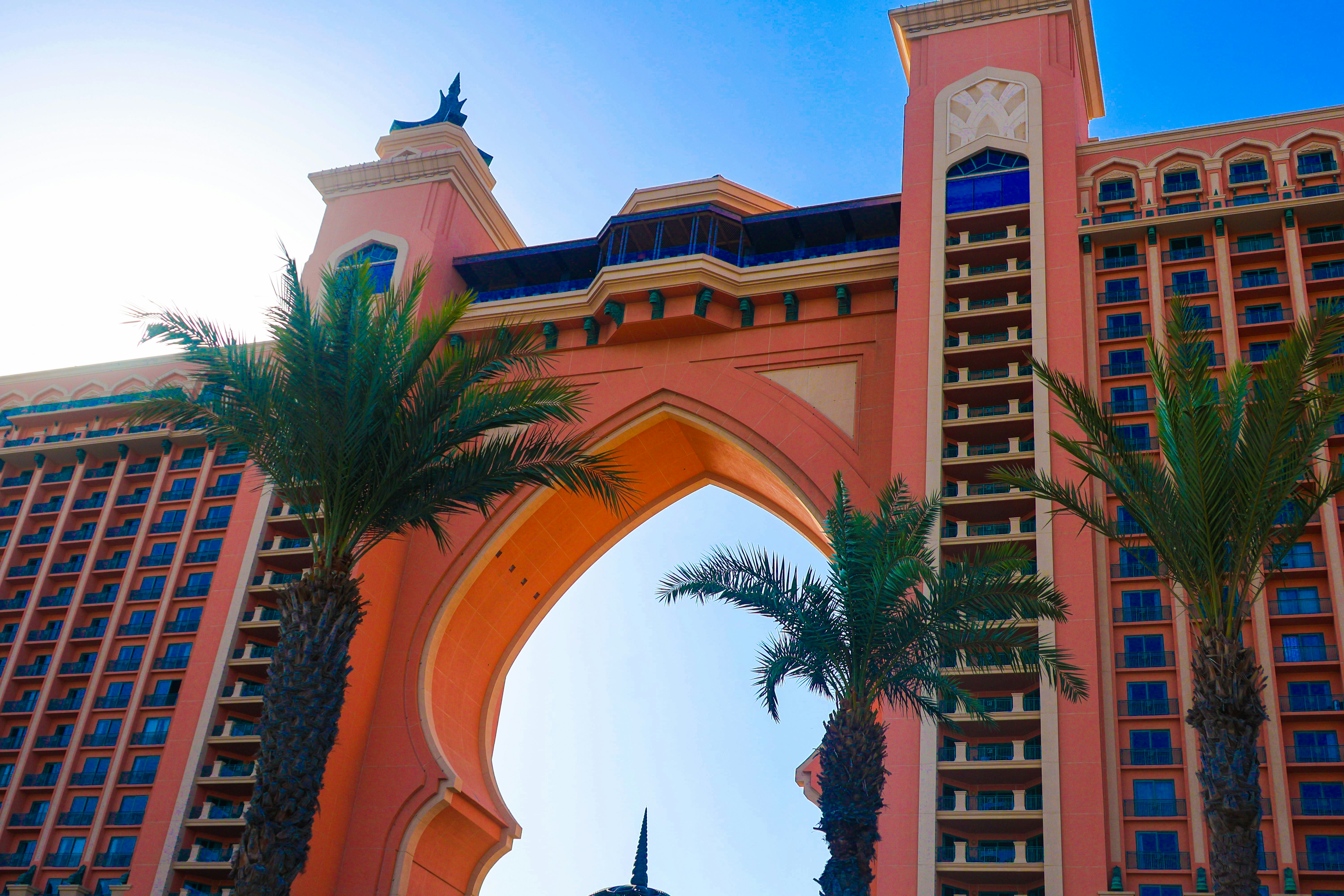 Coral Arch Gateway Framed by Palm Trees Under a Cerulean Sky