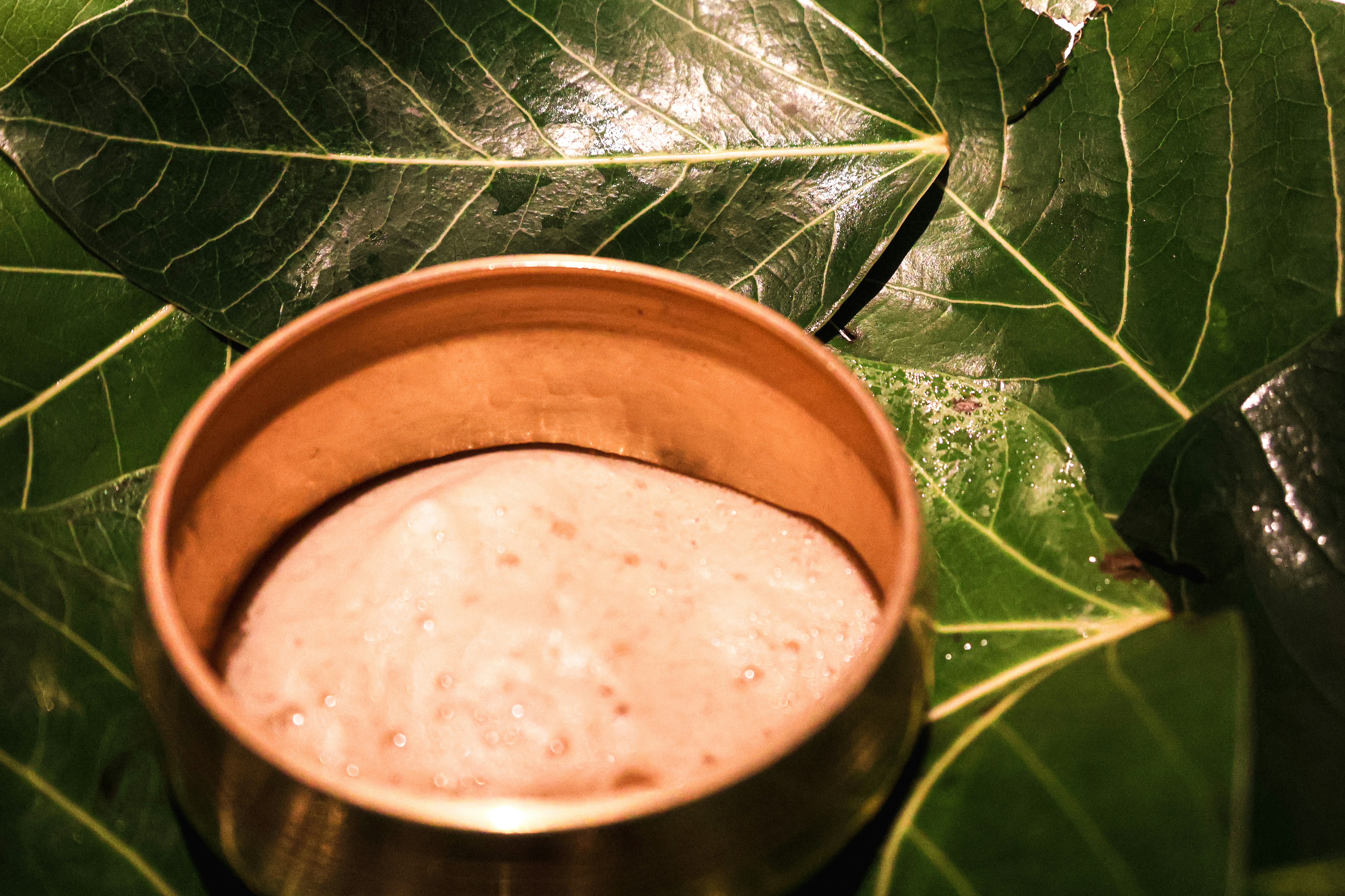 Copper Cup of Cream Resting on Giant Green Leaves