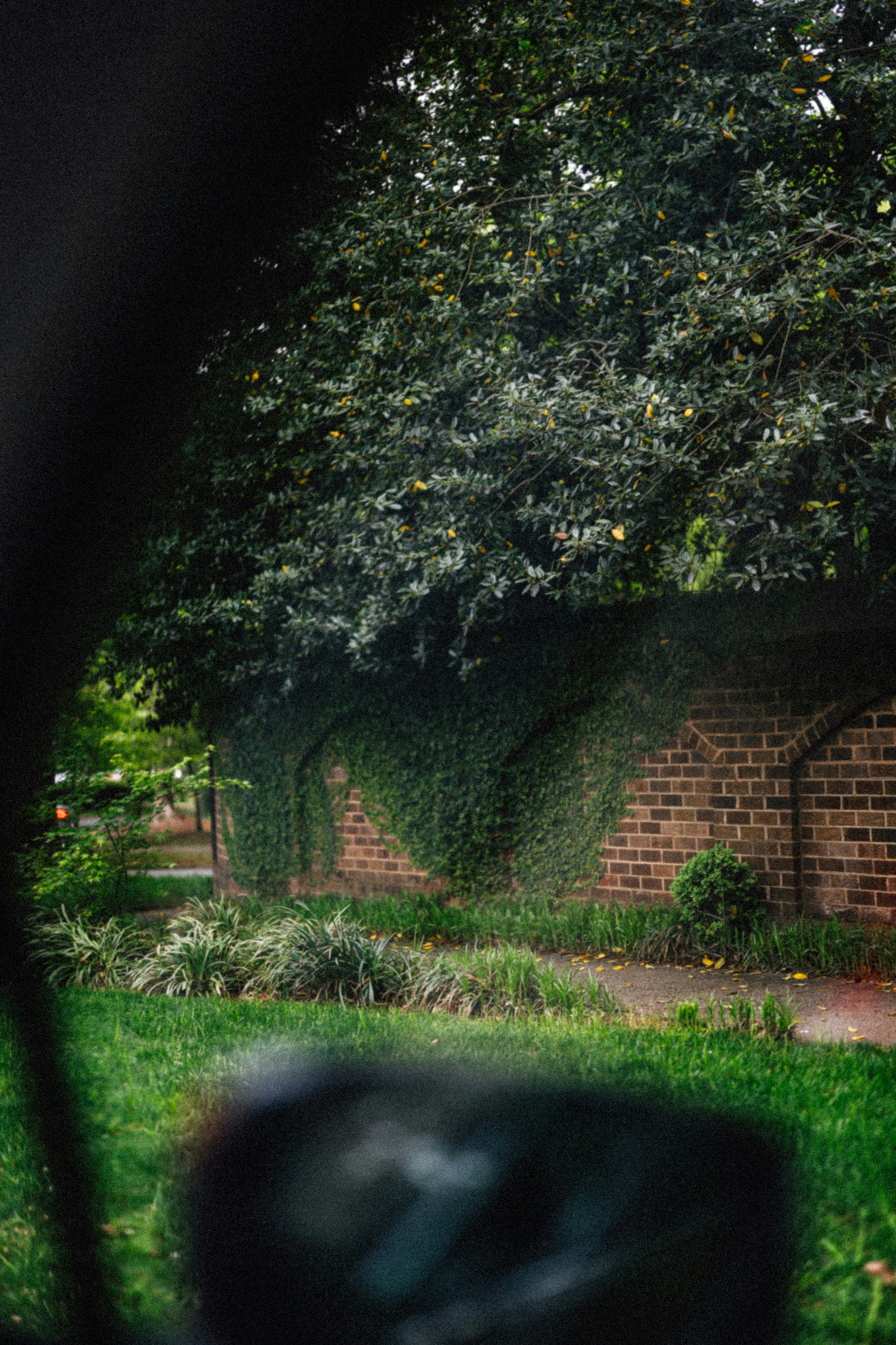 Brick Wall Archway Framed by Ivy and Dappled Foliage
