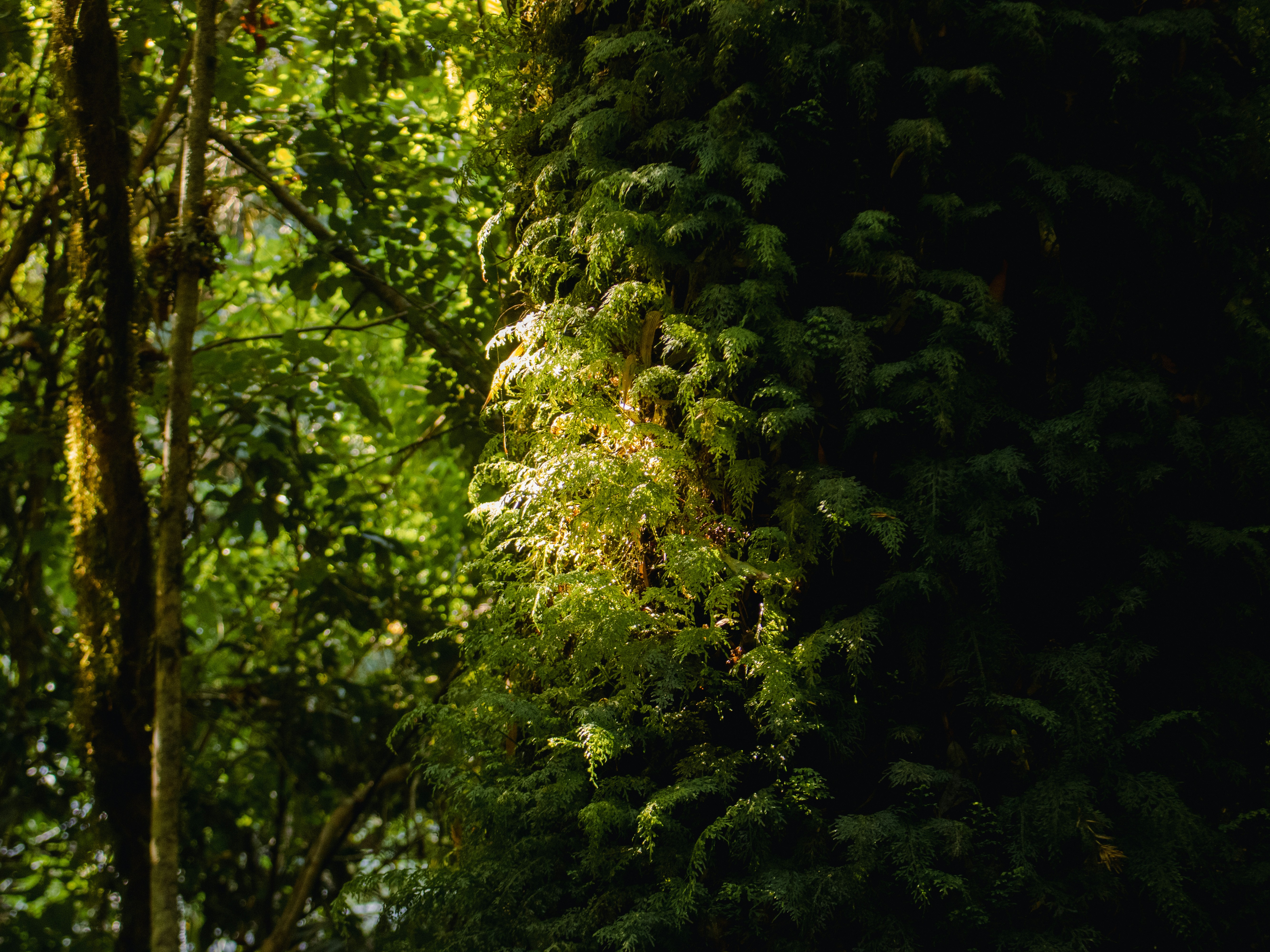 Photo by Noel Oviedo with Canon EOS 2000D