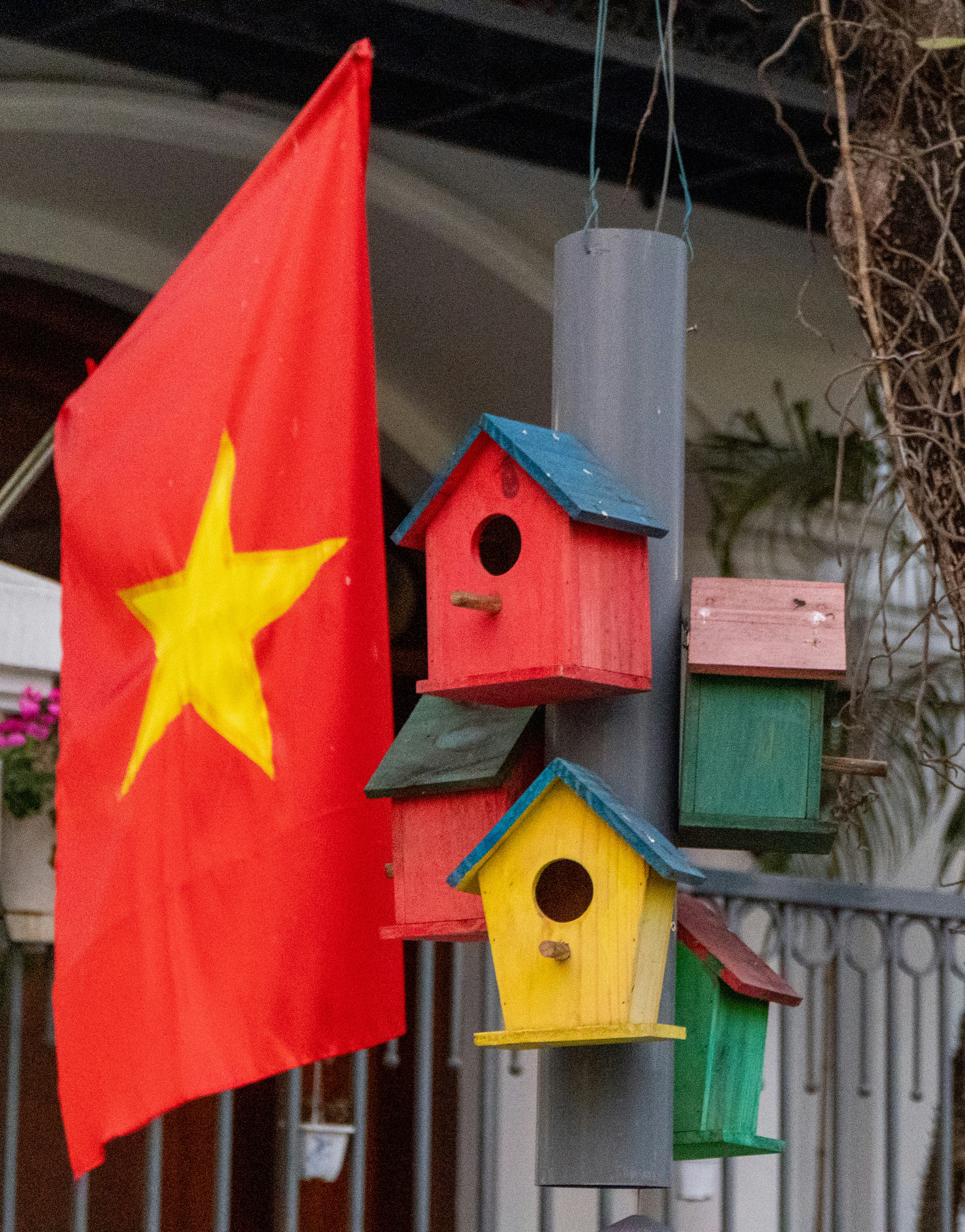 Photo by Frank Ng with Sony Alpha 6400