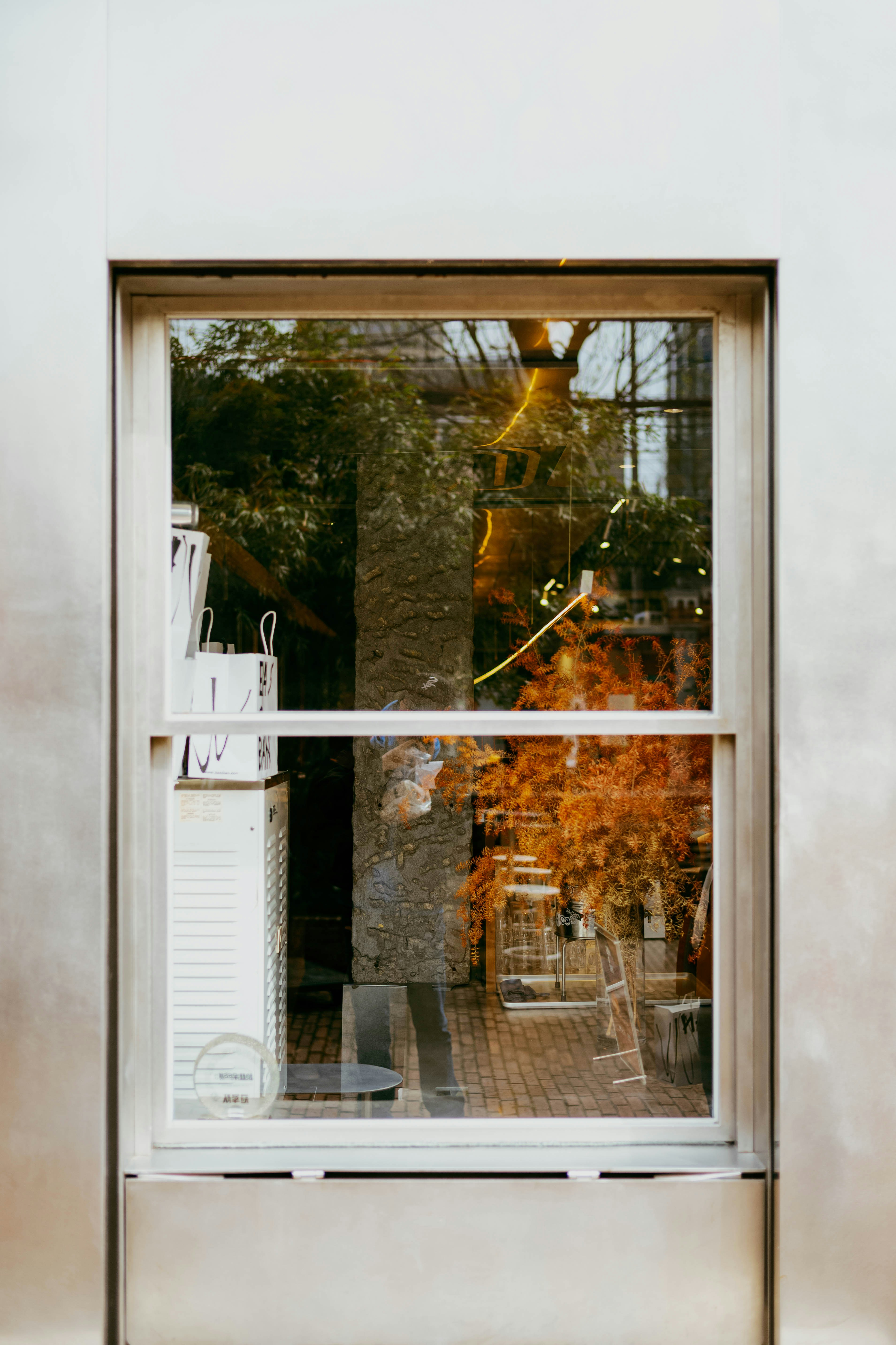 A window shows trees and indoor reflections. photo – Free Window Image ...