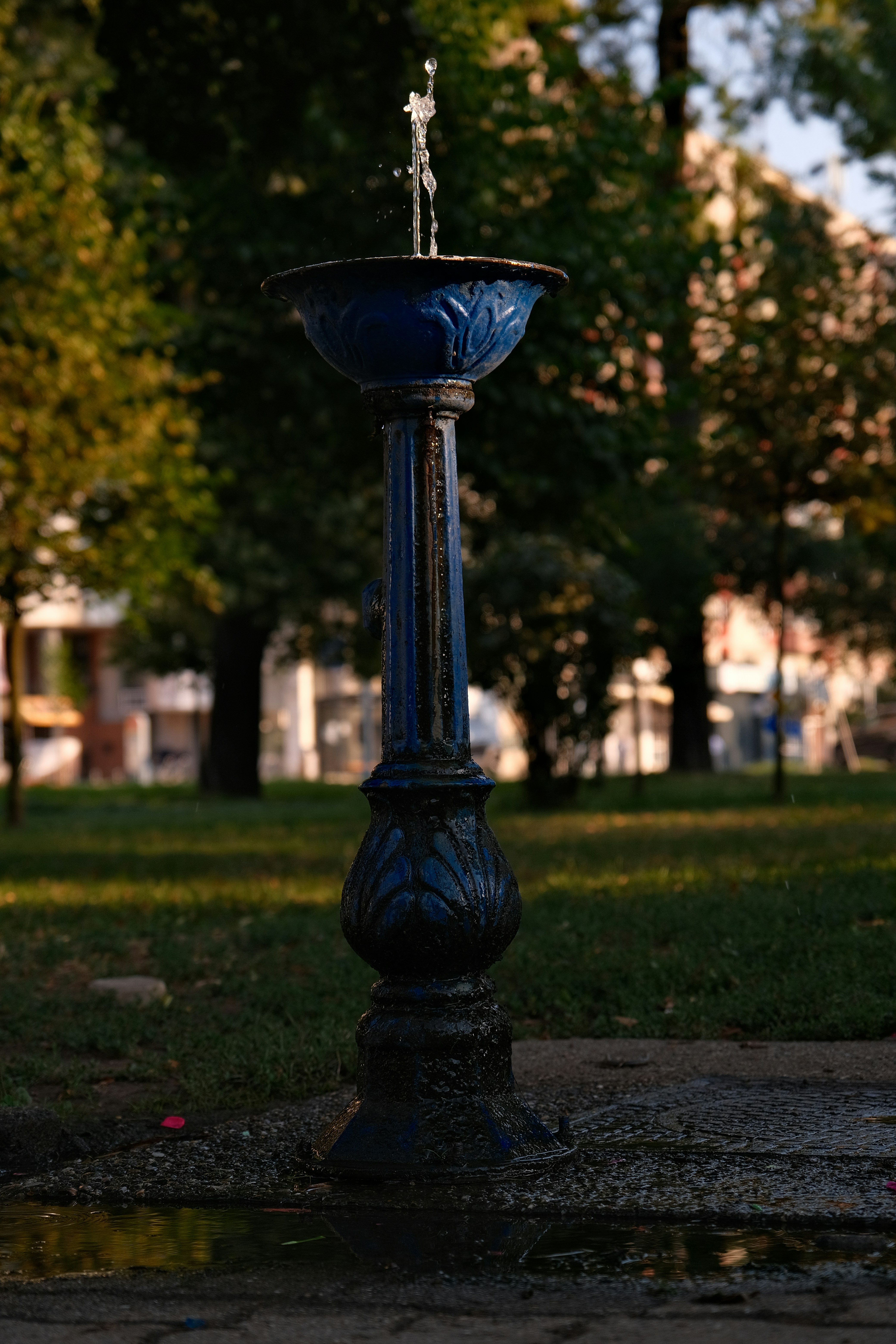Evening Reverie: A Blue Cast-Iron Fountain Standing Under Park Shade