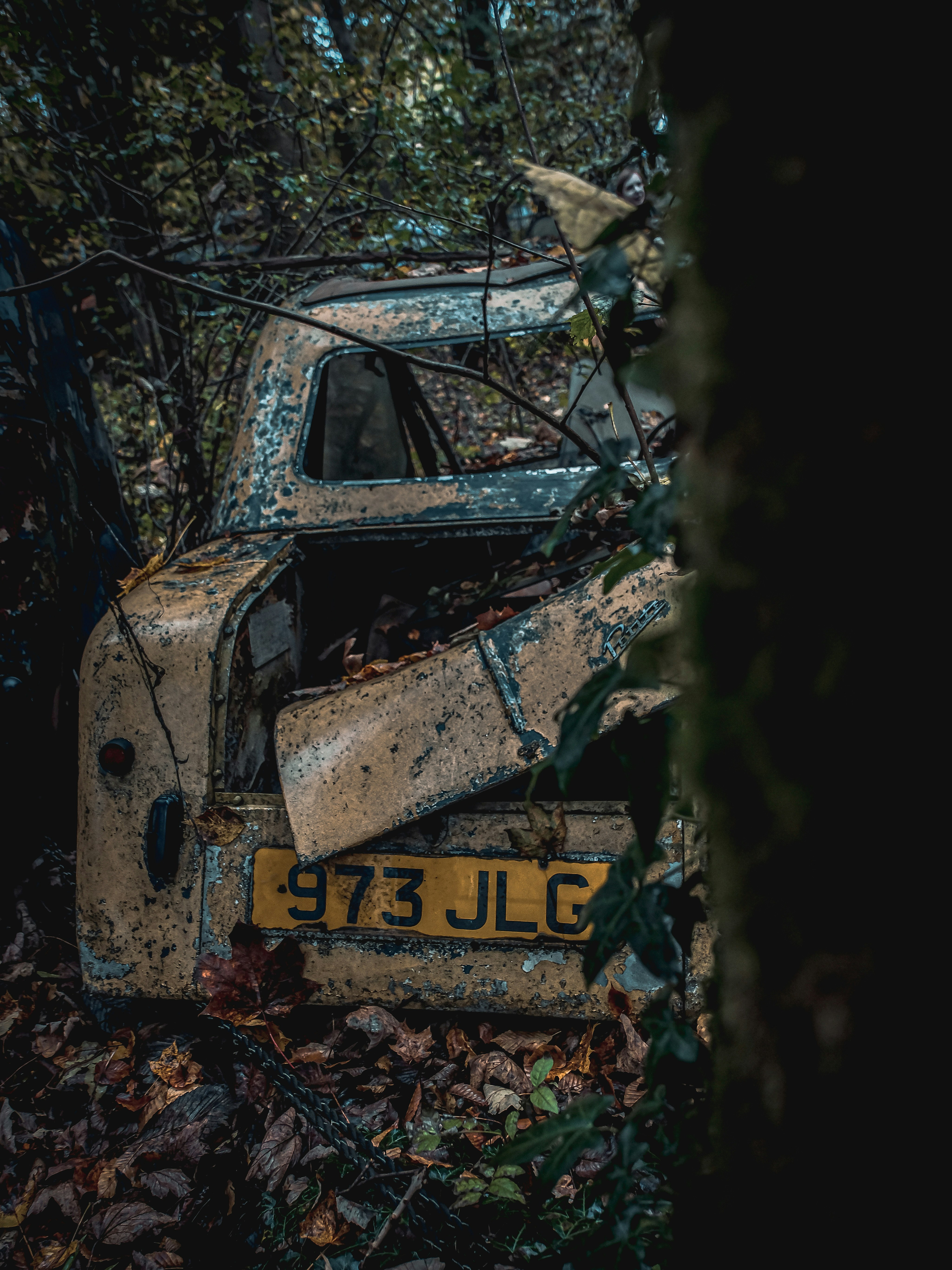 Forgotten Relic in the Woodland