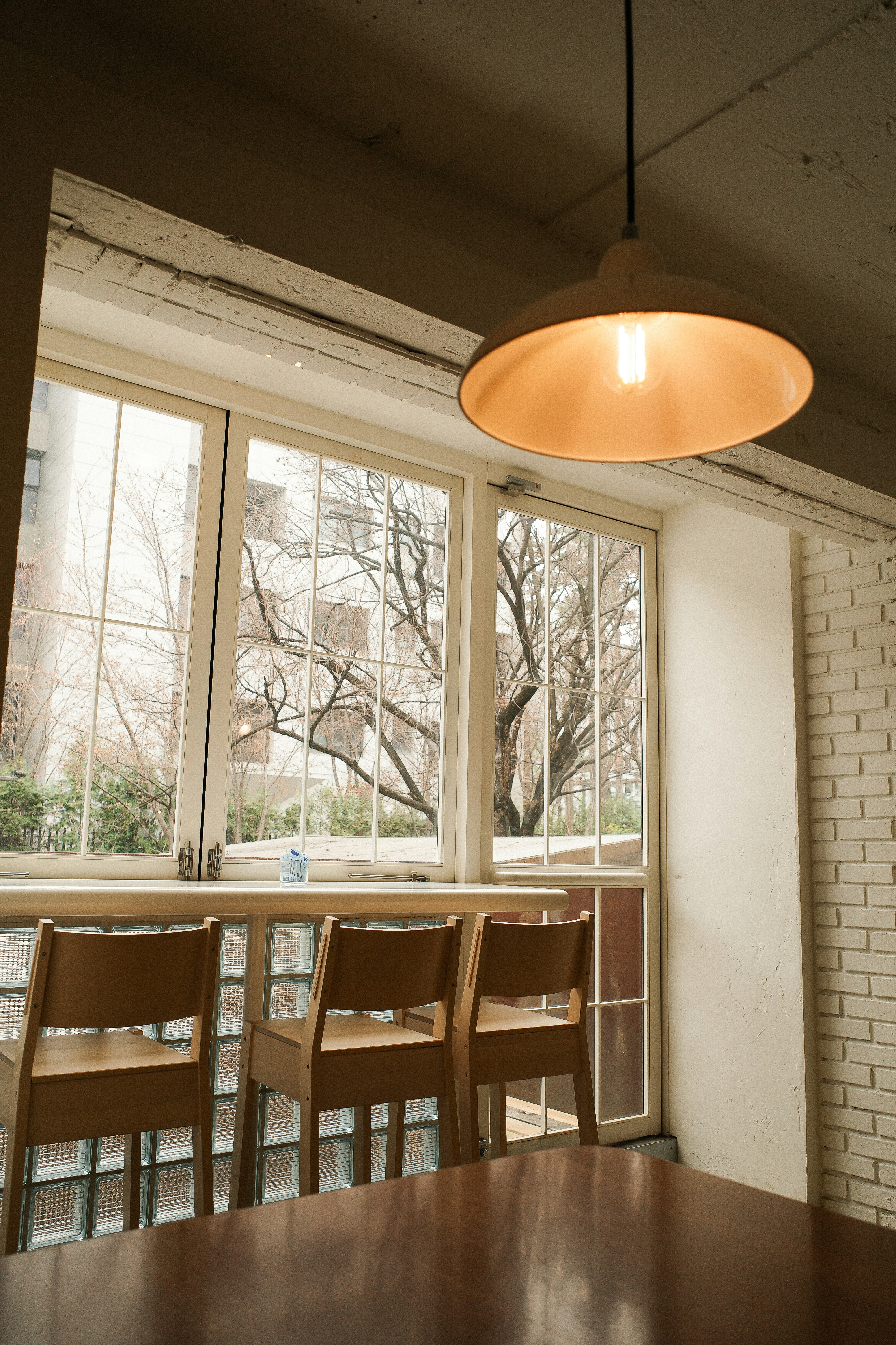 Four wooden chairs line a window bar in a softly lit café, with bare trees visible through large windows.