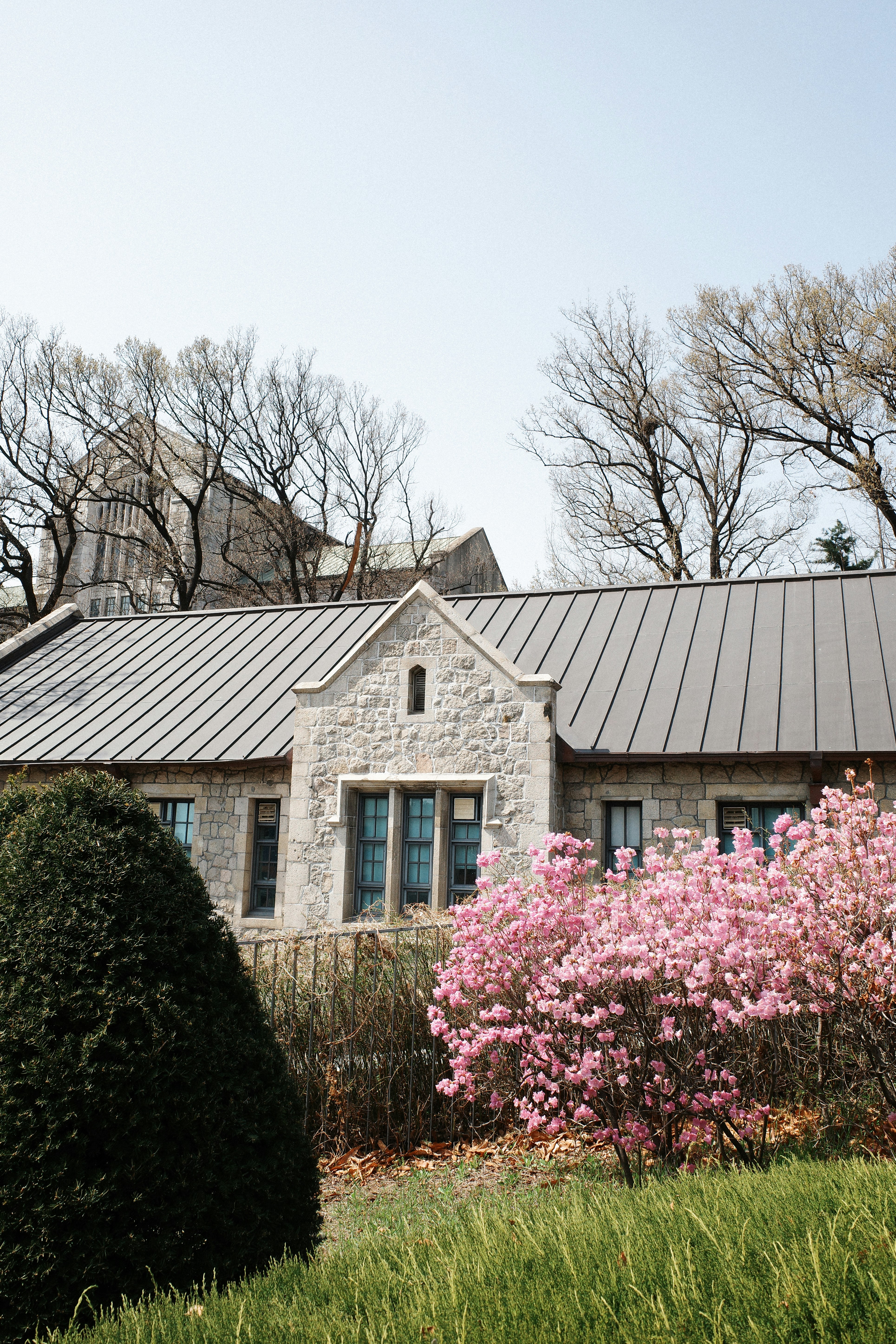 Spring Serenity at the Stone Cottage