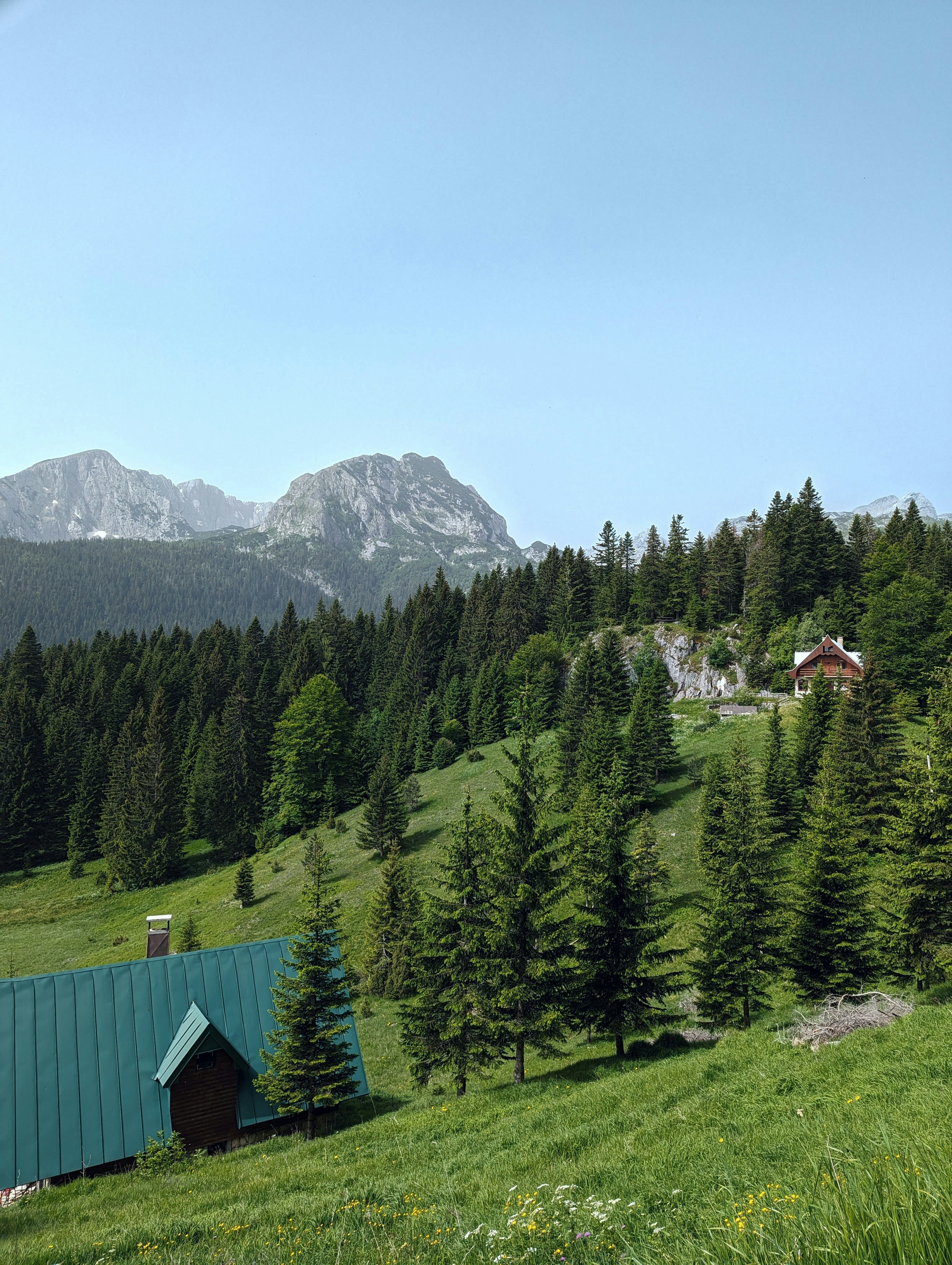 Whispers of the Alpine Retreat