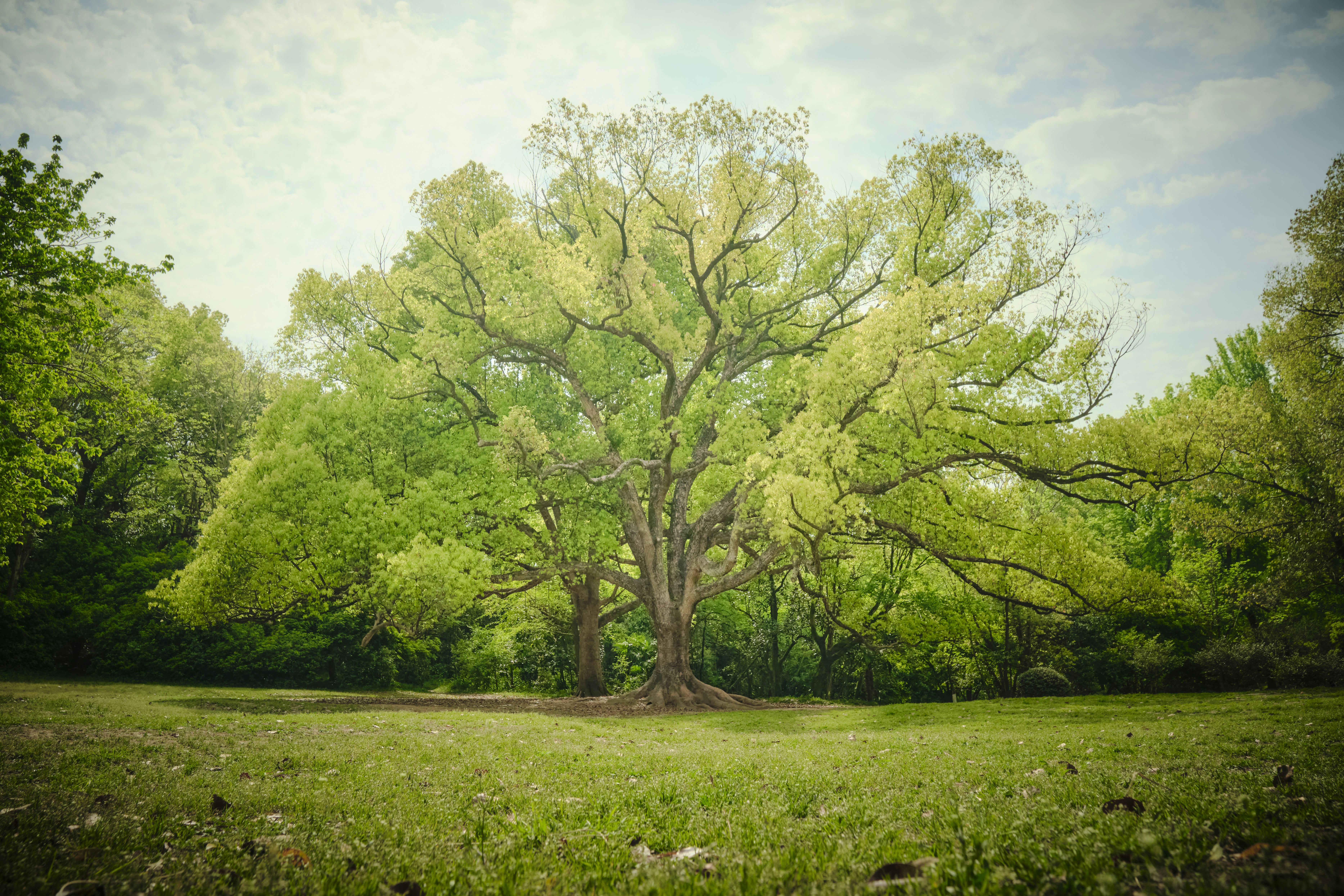 Photo by Seele An with Fujifilm X-H2