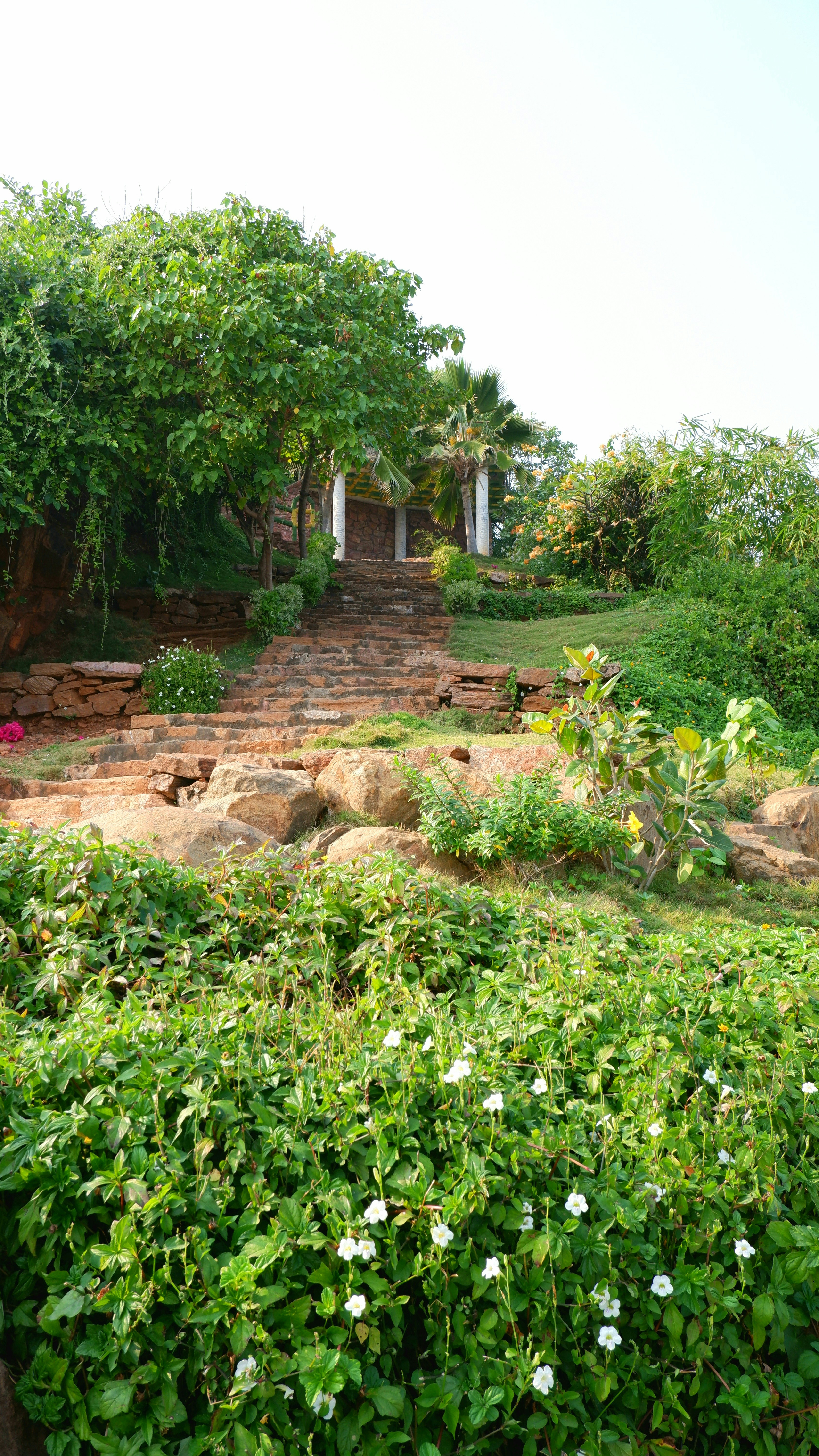 Stone stairway leading to a secluded building amidst vibrant greenery.