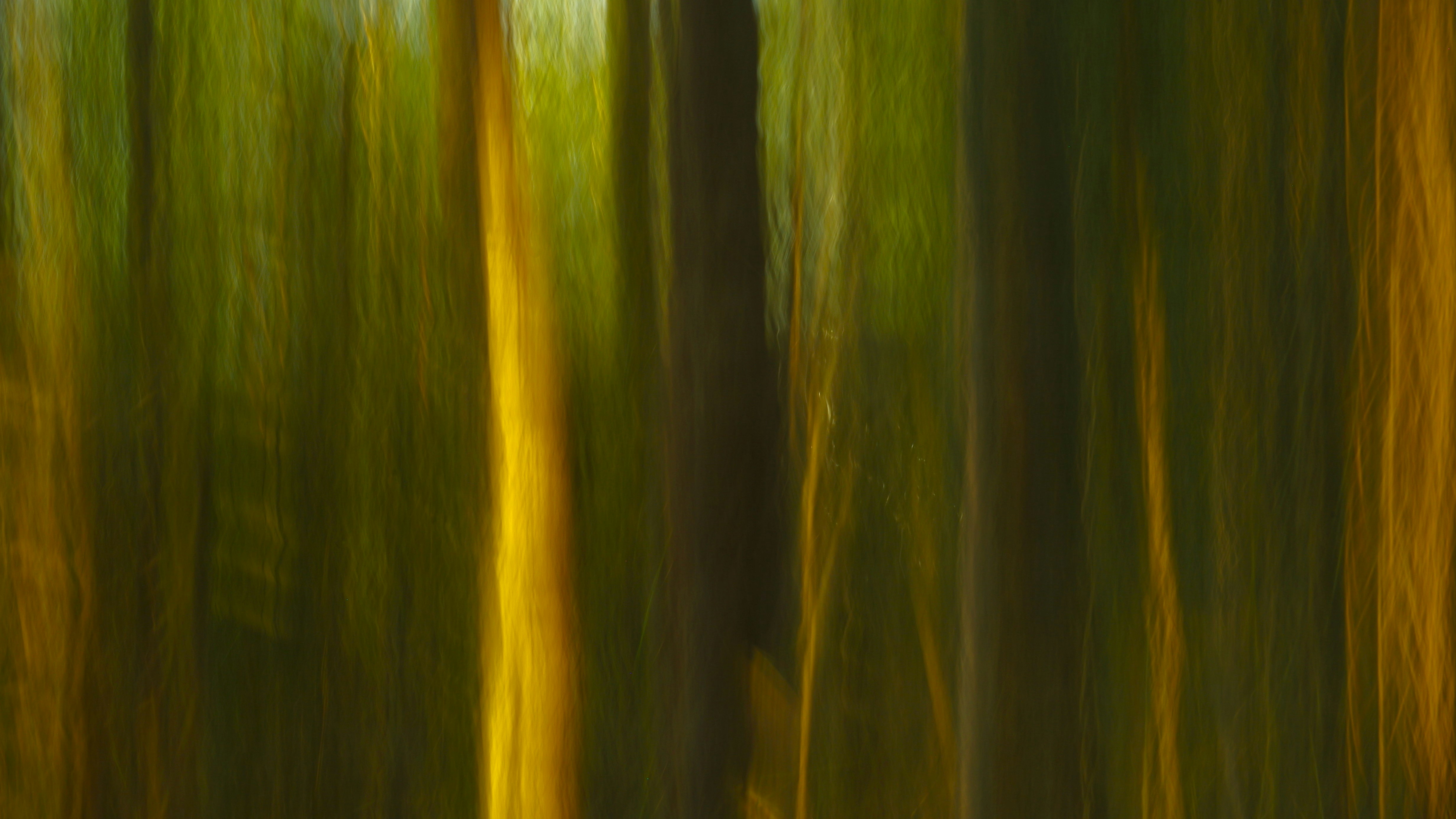 Abstract streaks of green and yellow create a forest-like scene with vertical motion blur.