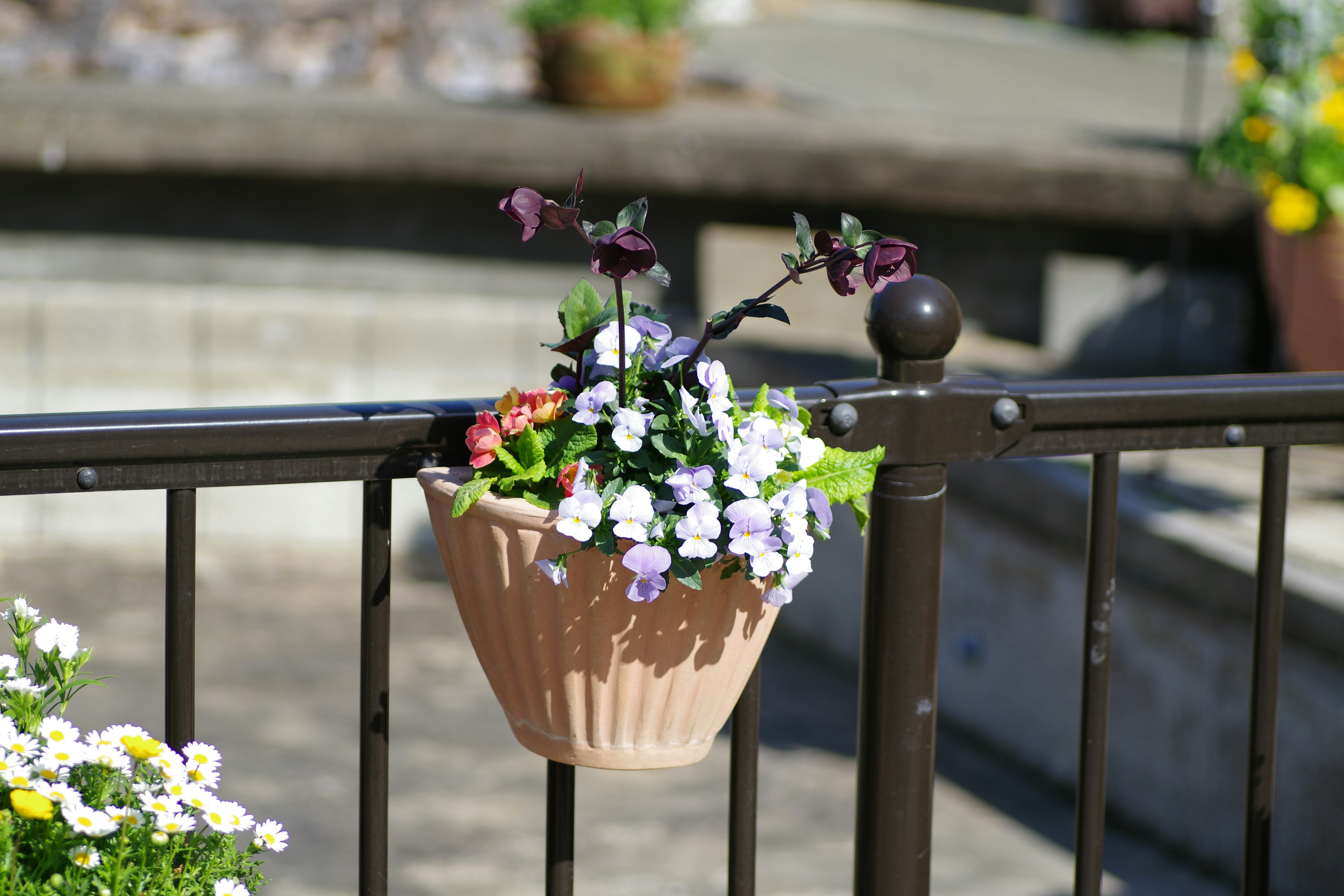 Beautiful green and flower garden、新緑と美しい花が織りなす絶景 A superb view of fresh greenery and beautiful flowers