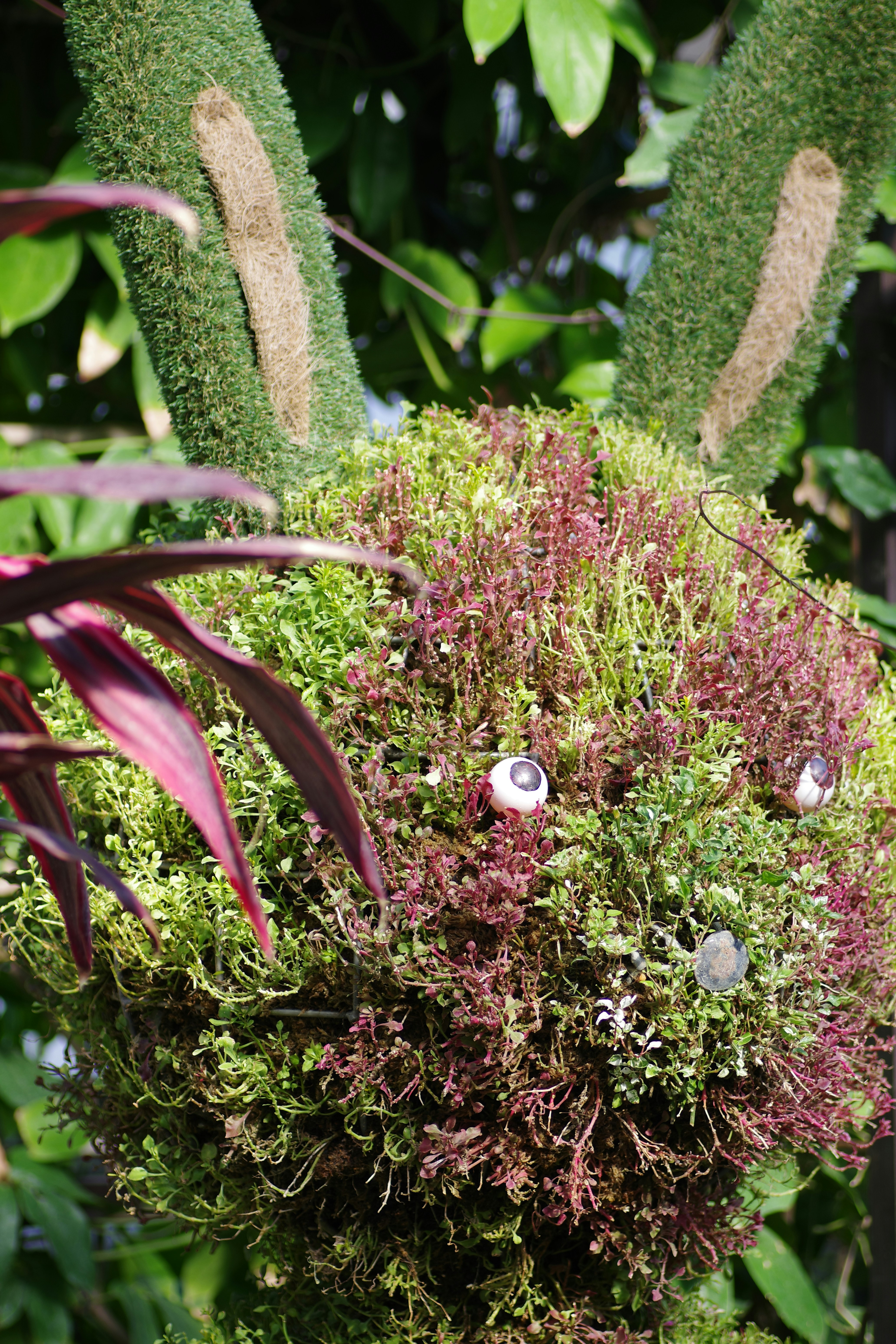 Moss-Faced Marvel: A Curious Garden Creature