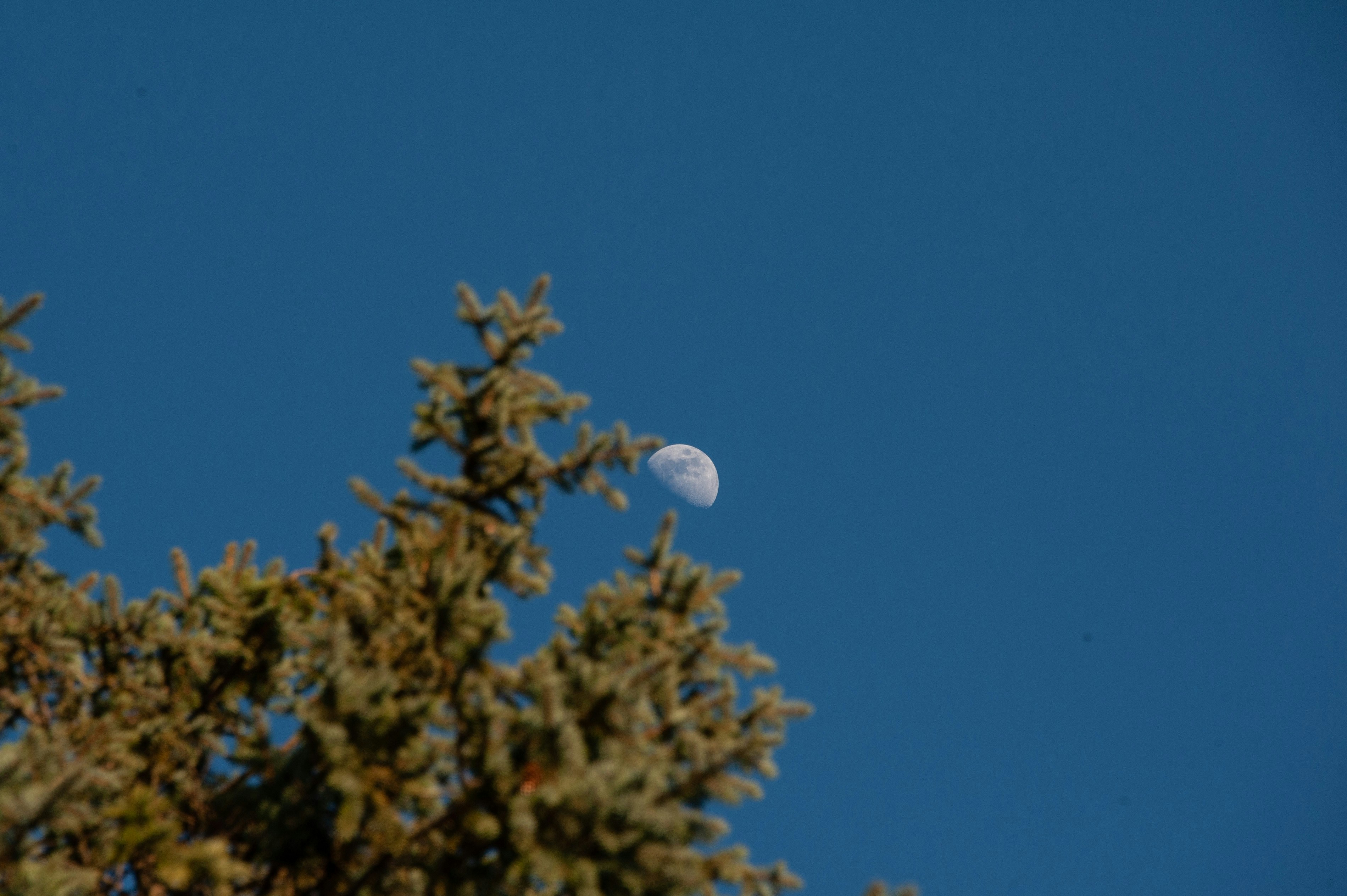 Photo by Richard Wang with Nikon D700