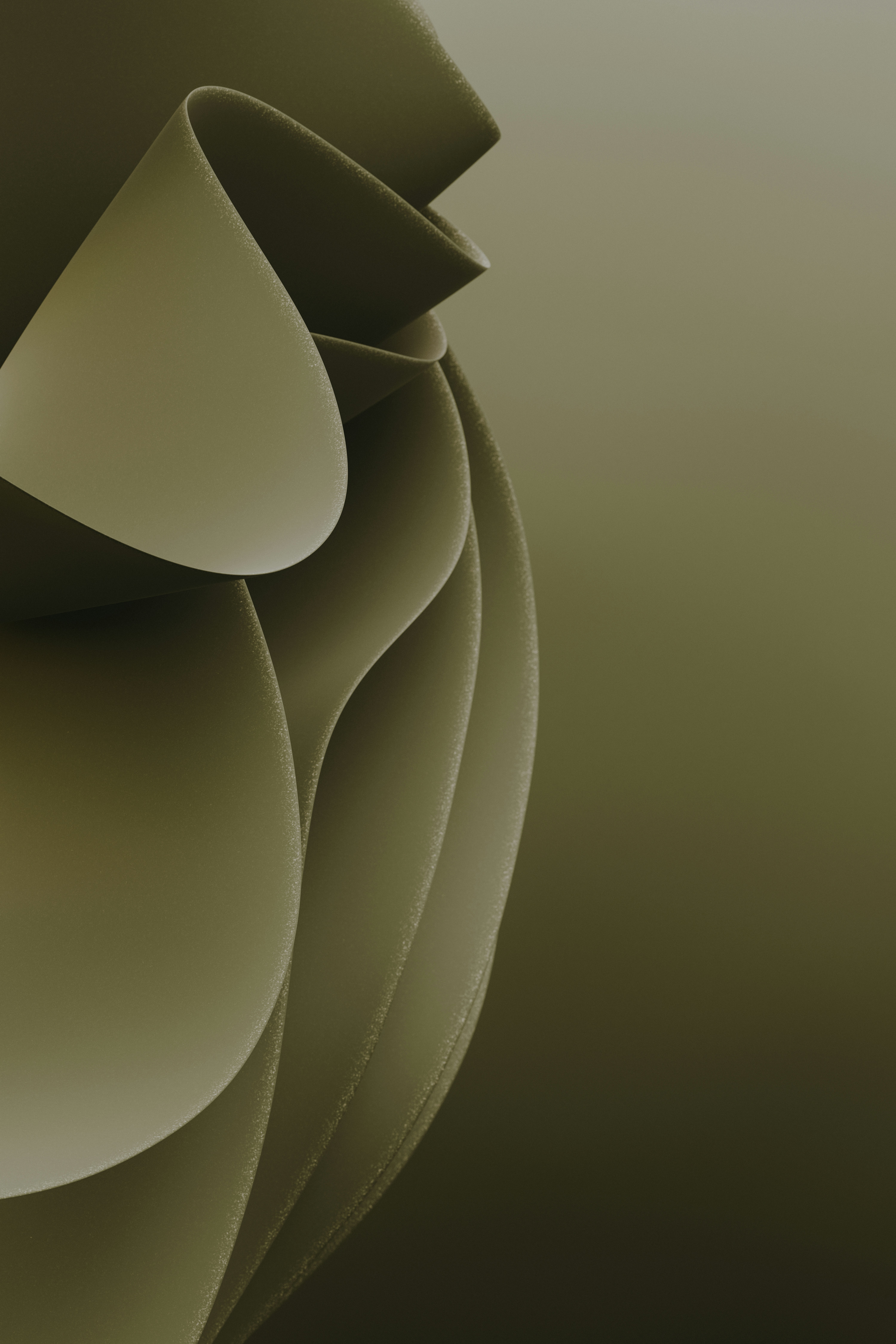 Abstract design with flowing, curled shapes. photo – Free Wallpaper ...