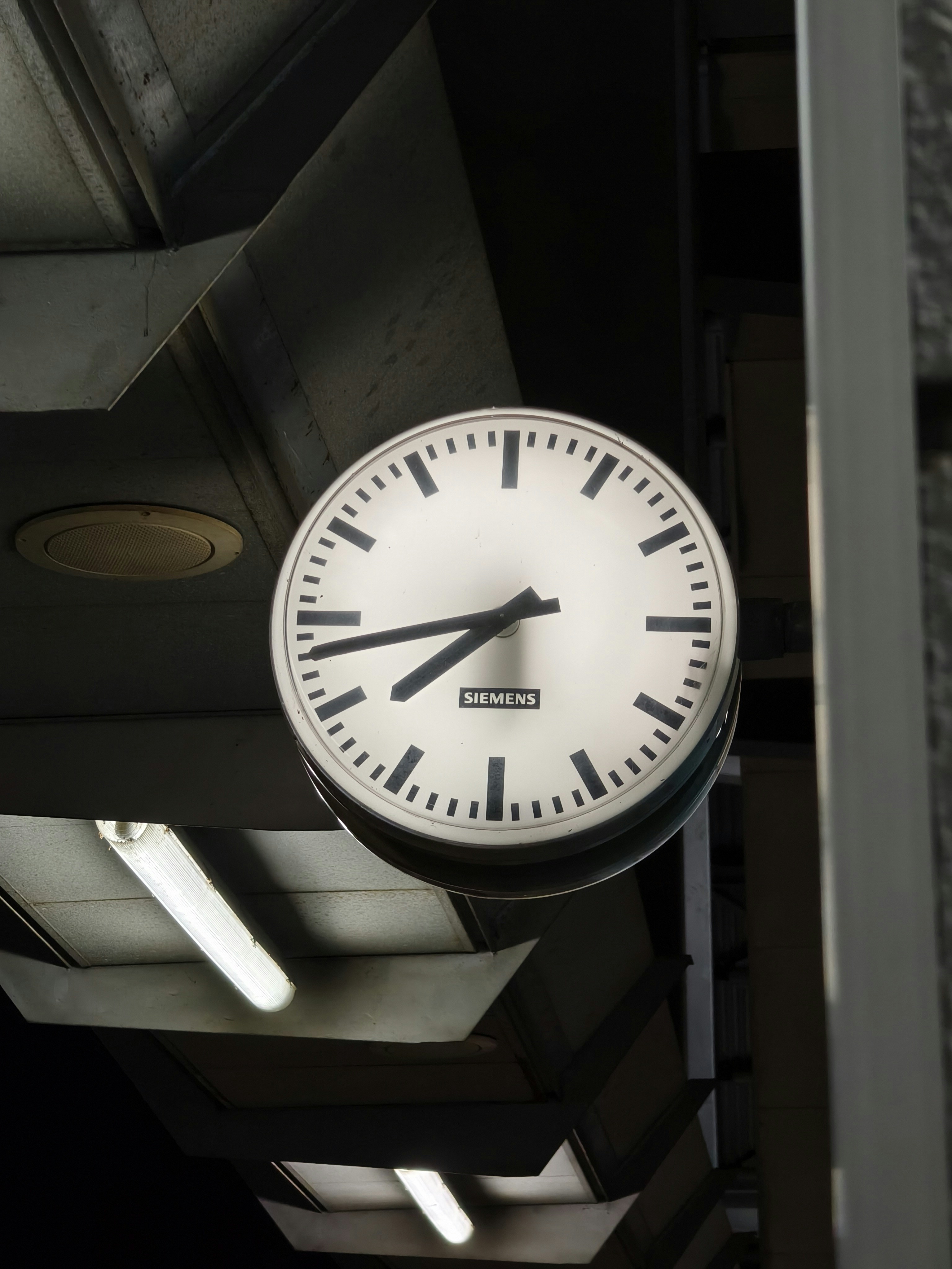 Sample photo from Vivo X200