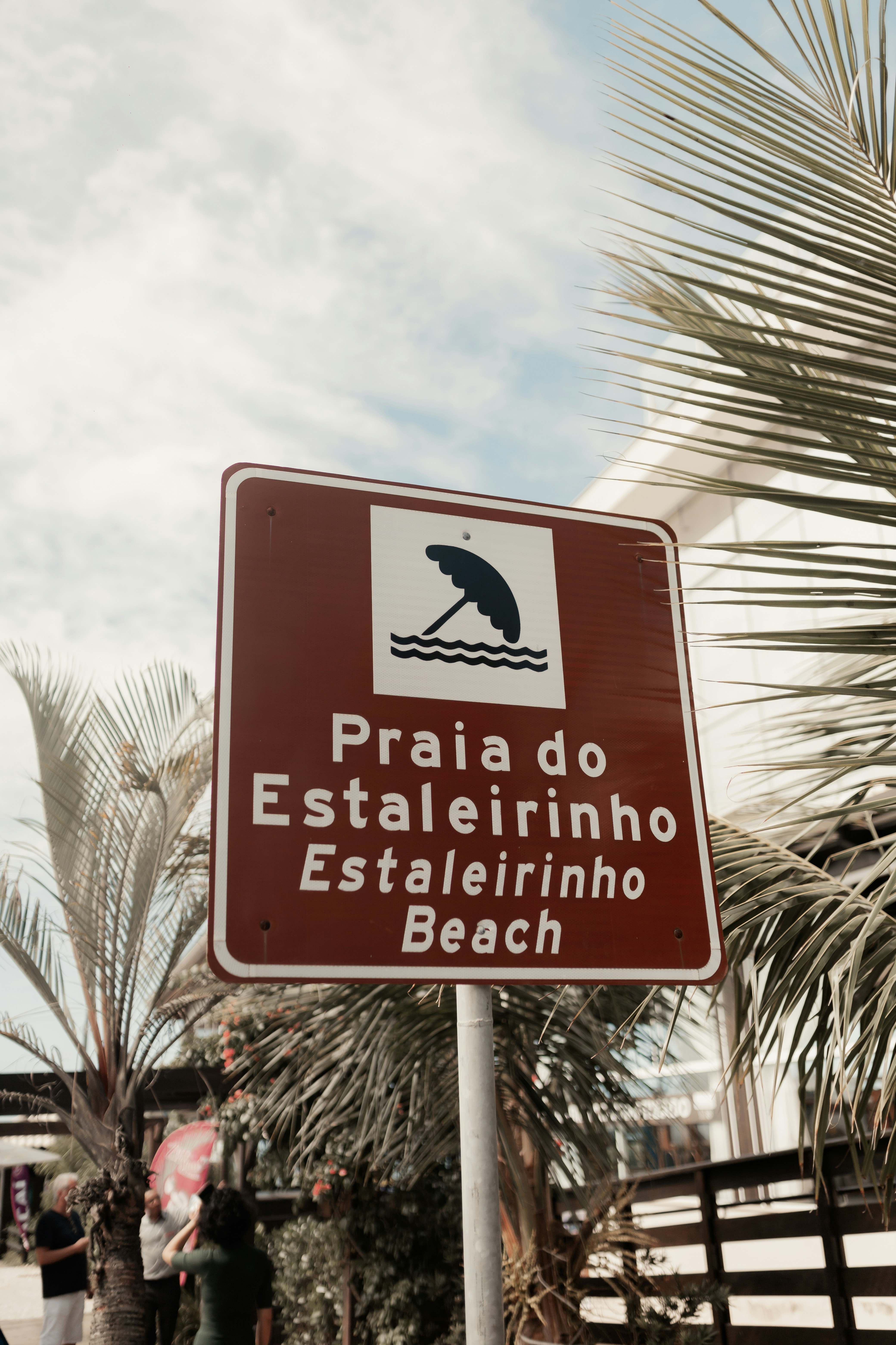 Palm-Framed Welcome: Praia do Estaleirinho Beach Signpost