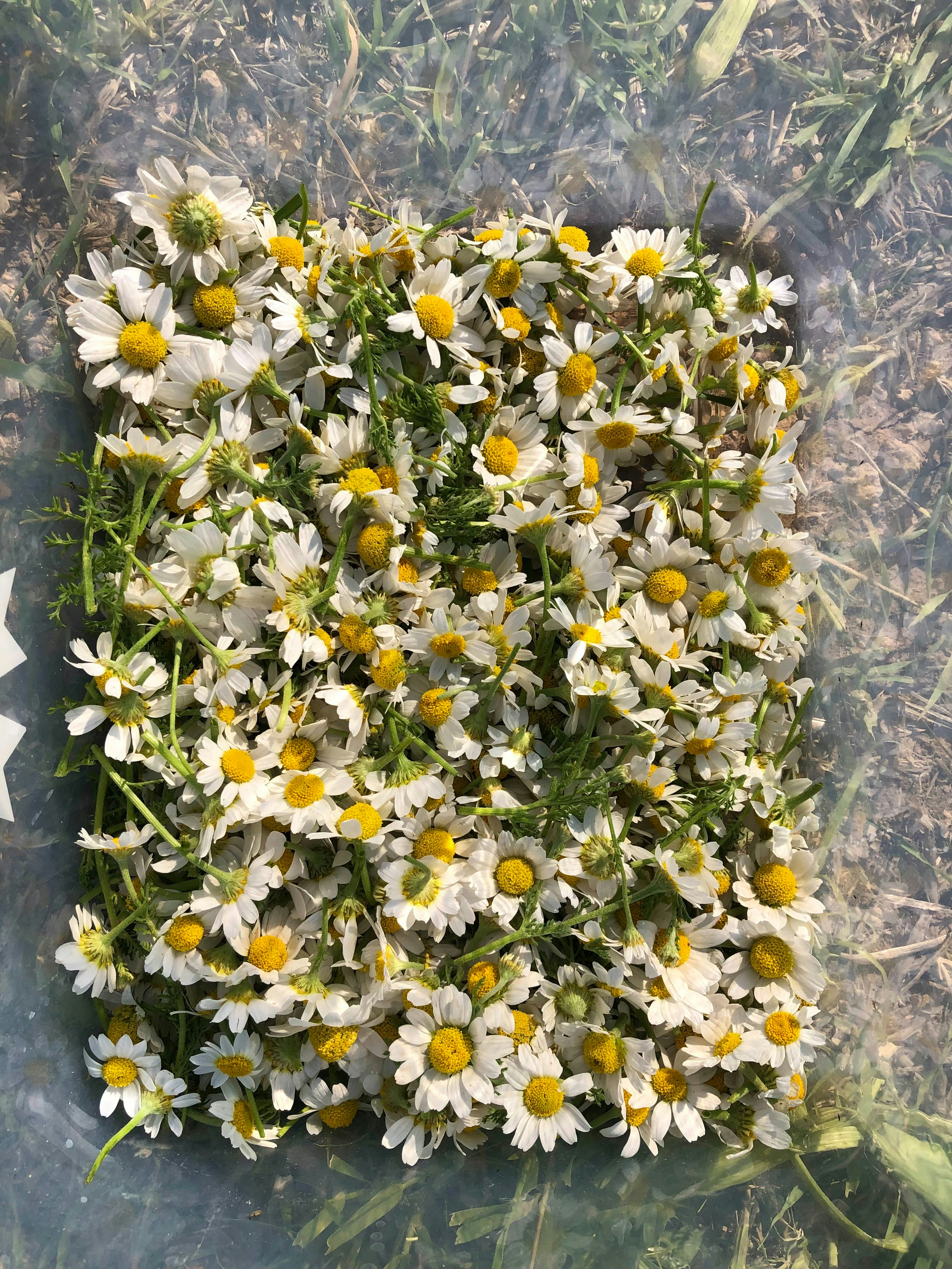 Salwa (@salwa14) | Unsplashフォトコミュニティ