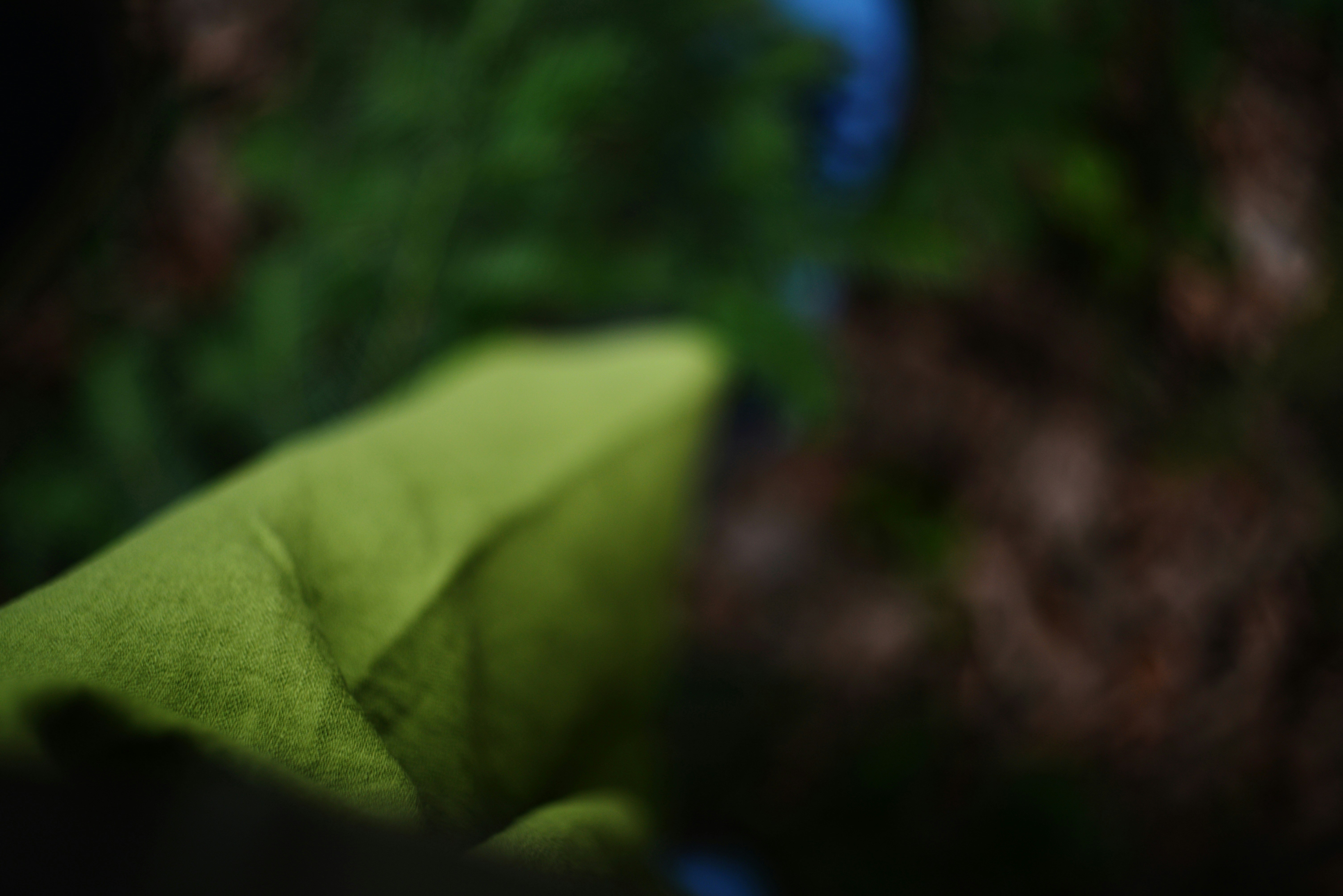 Photo by Liana S with Nikon D600